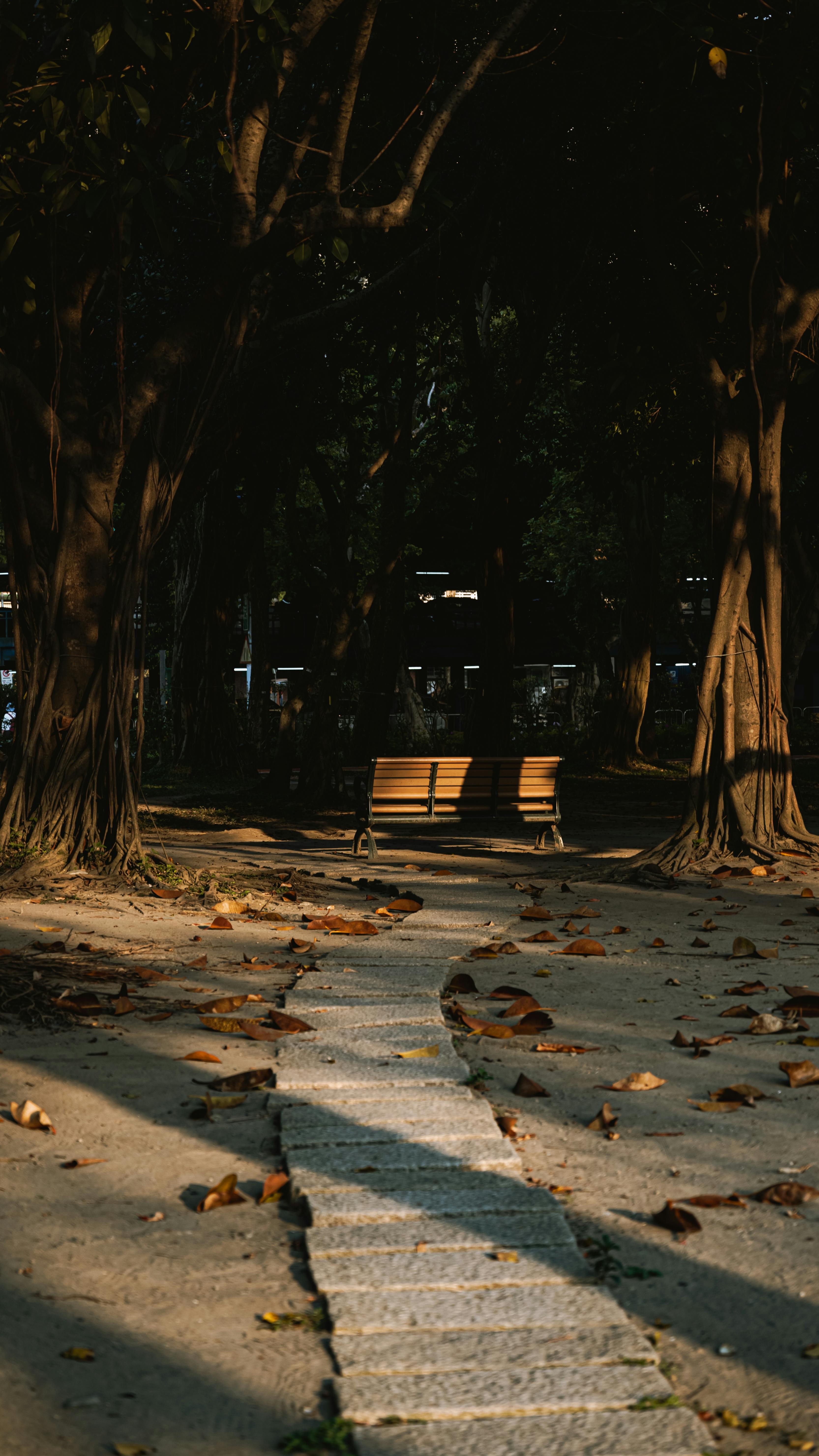 Cornerstone Park Photos, Download The BEST Free Cornerstone Park Stock ...