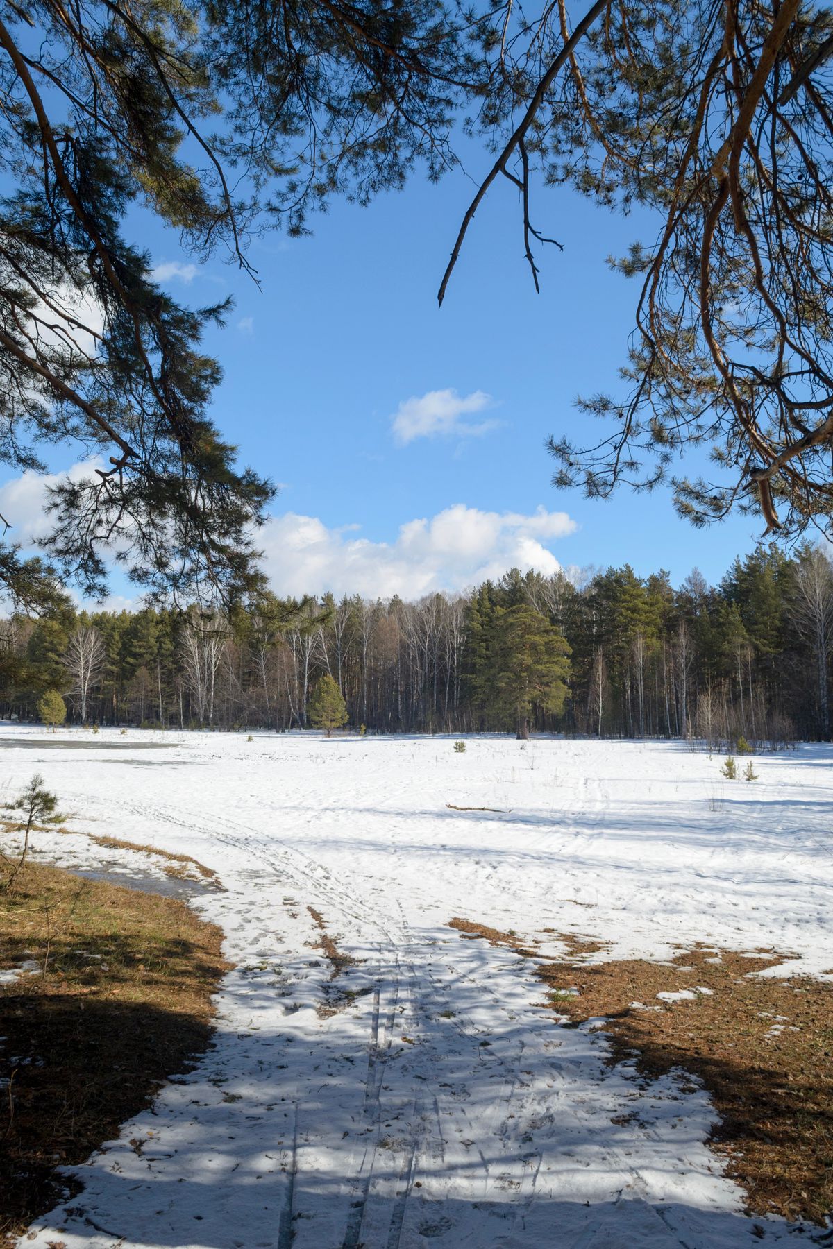 March Scenery Nature Photos, Download The BEST Free March Scenery ...