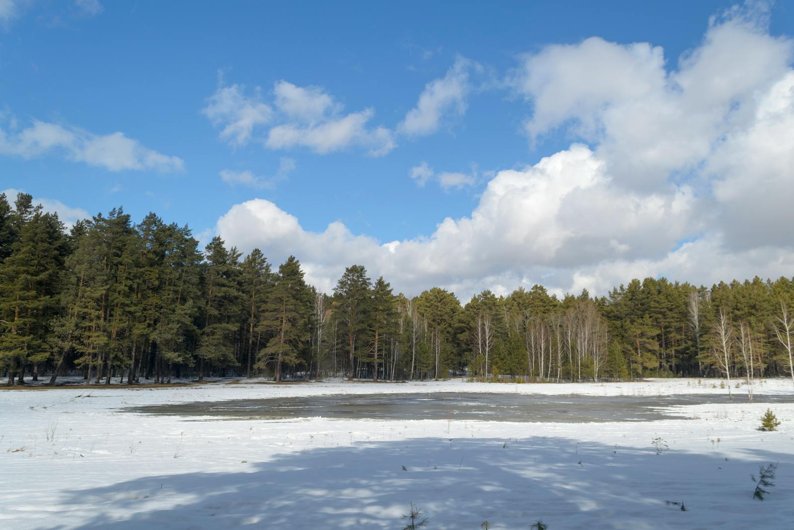 Gfx Background Blue Photos, Download The BEST Free Gfx Background Blue ...