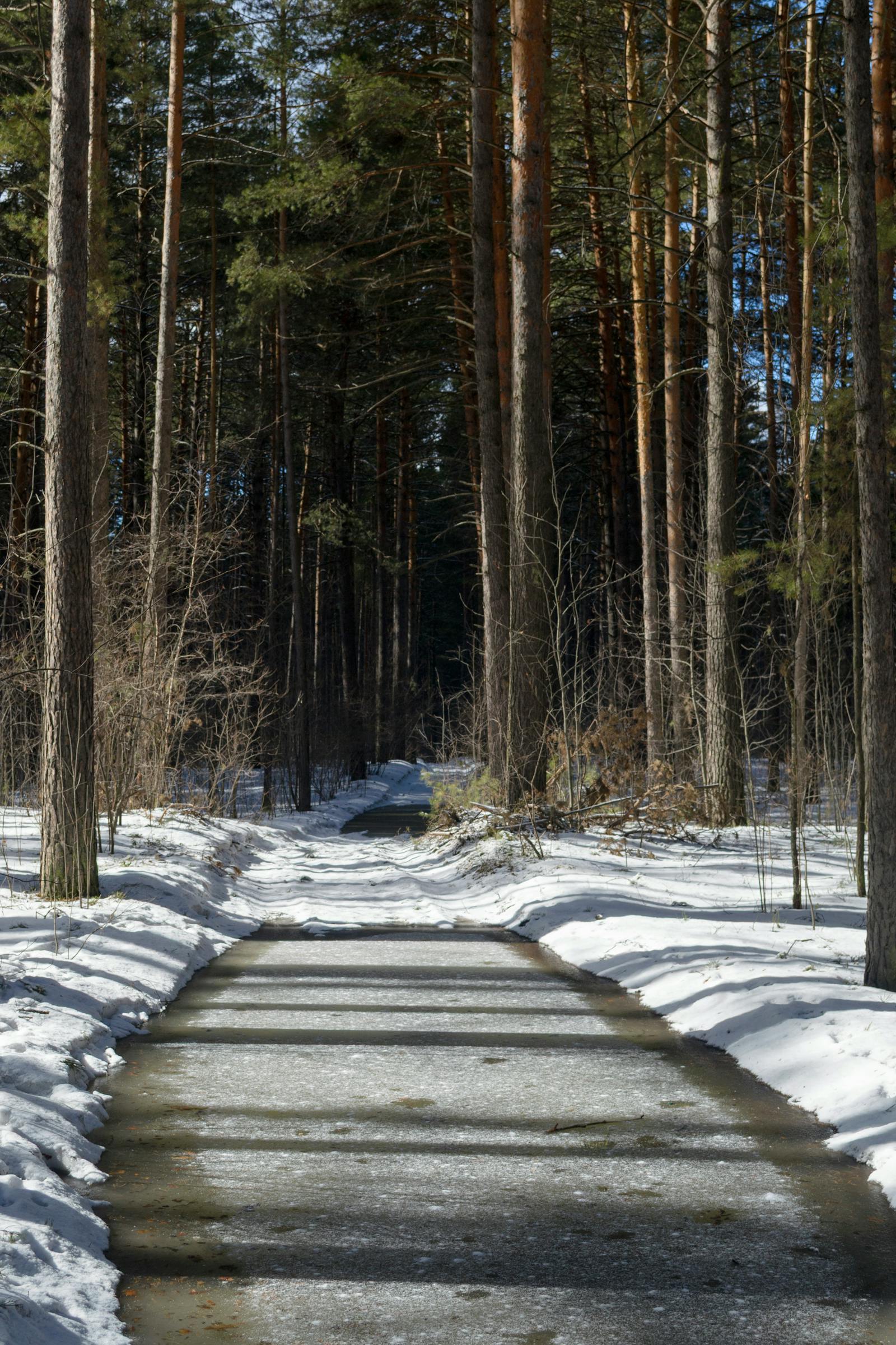 Early Spring Wallpaper Photos, Download The BEST Free Early Spring ...