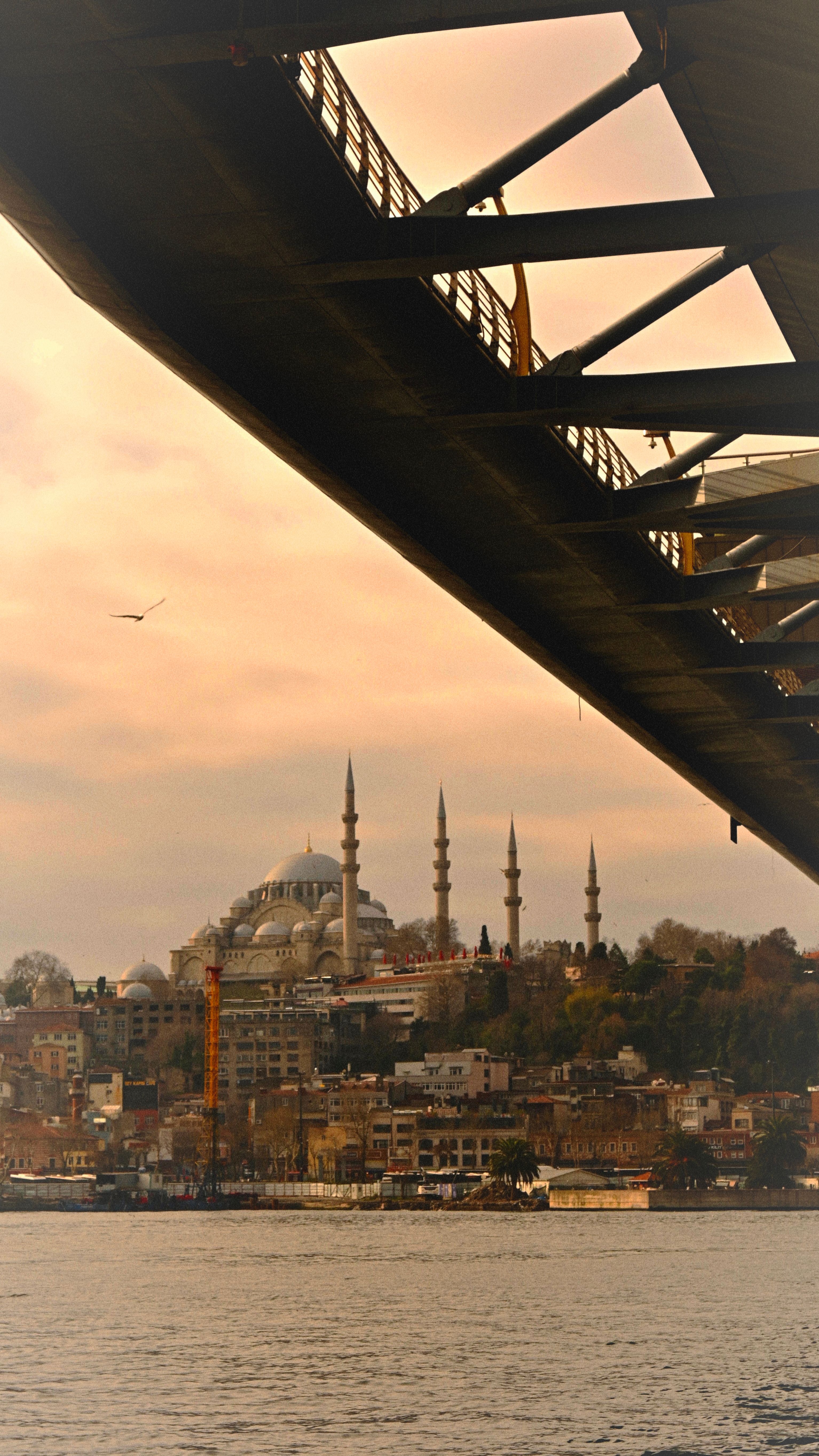 Istanbul Landscape with Bosphorus Bridge and Mosques · Free Stock Photo