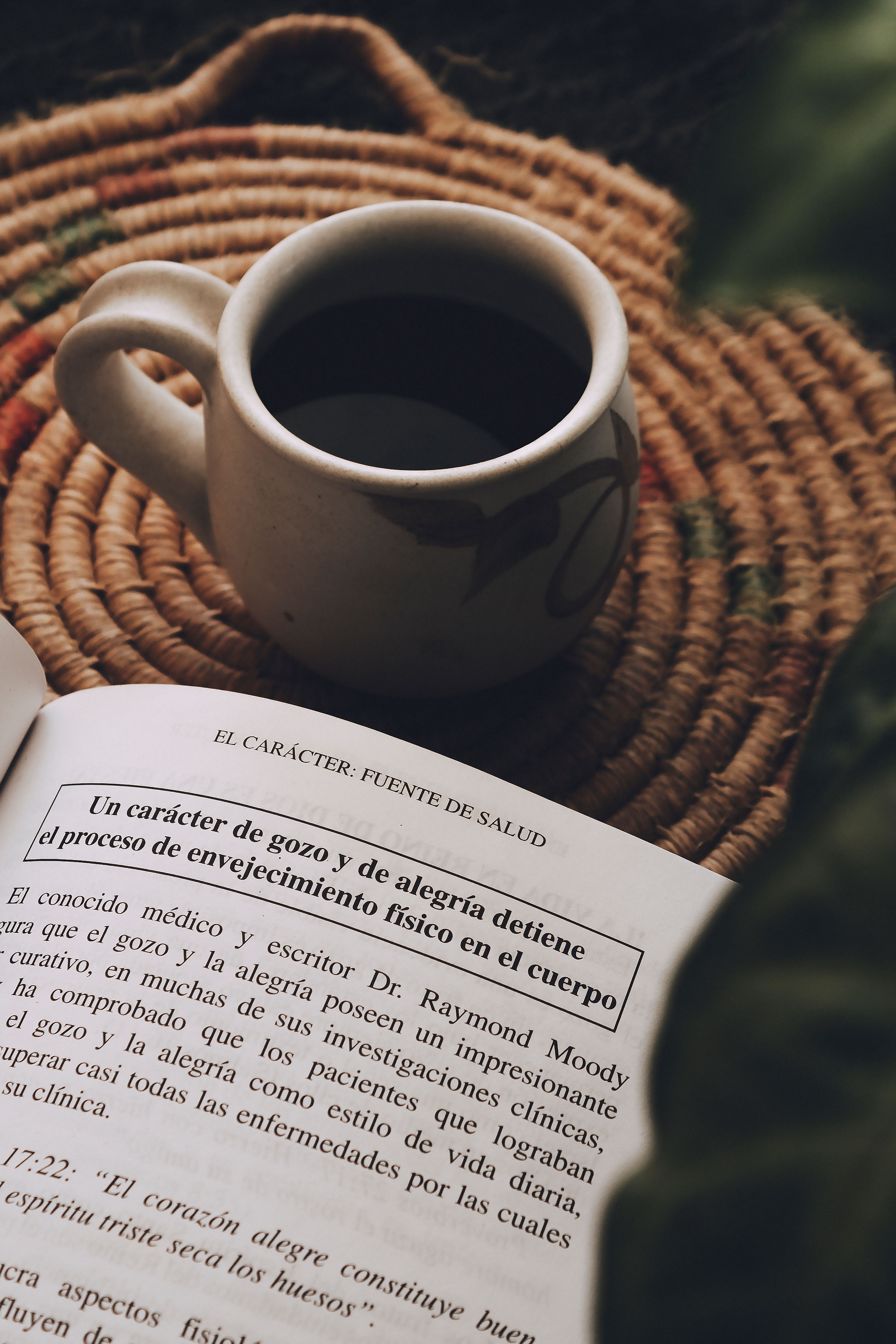 Cozy Coffee and Book Setup in Natural Light · Free Stock Photo