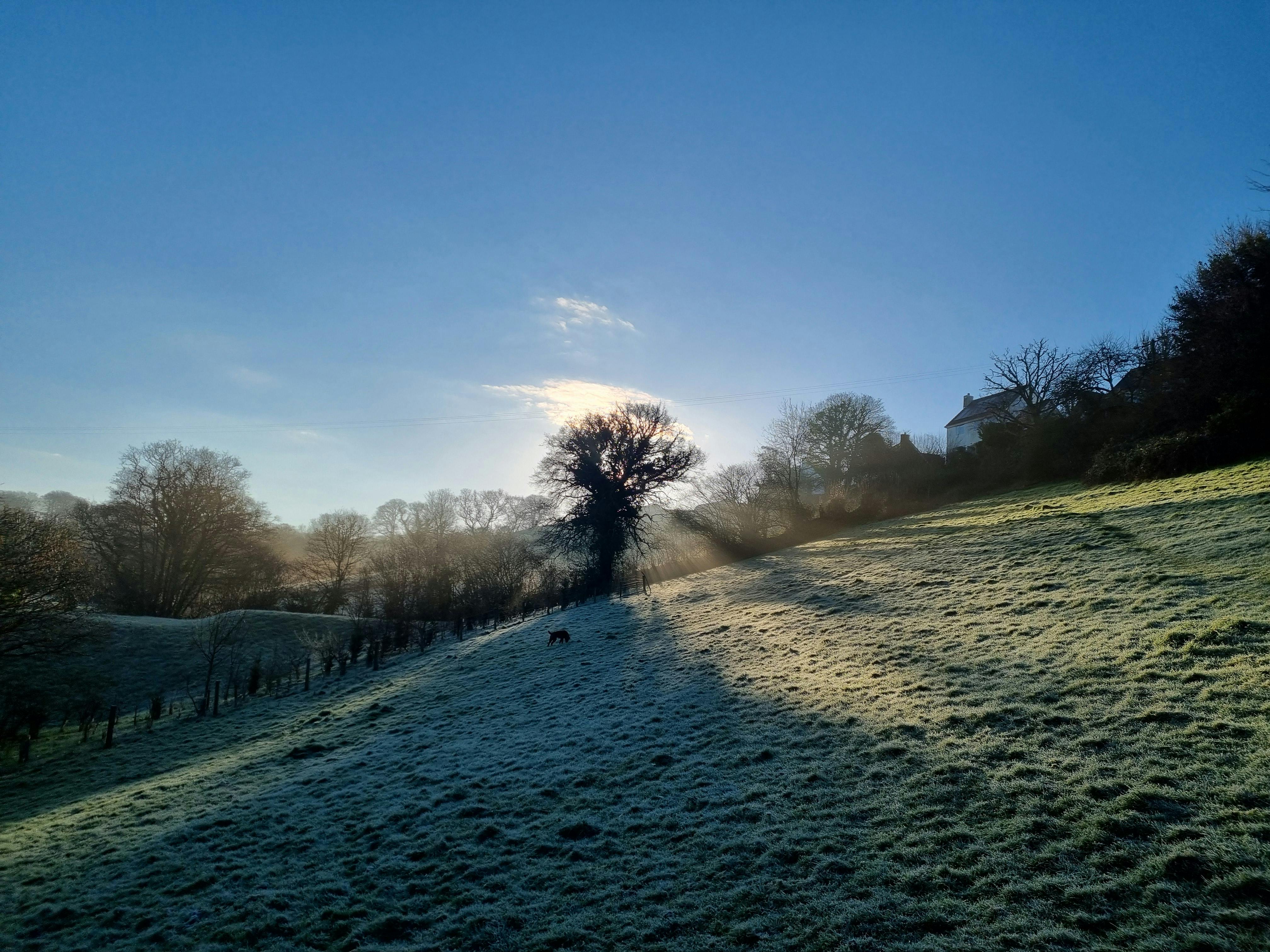 Winter Rye Grass Photos, Download The BEST Free Winter Rye Grass Stock ...