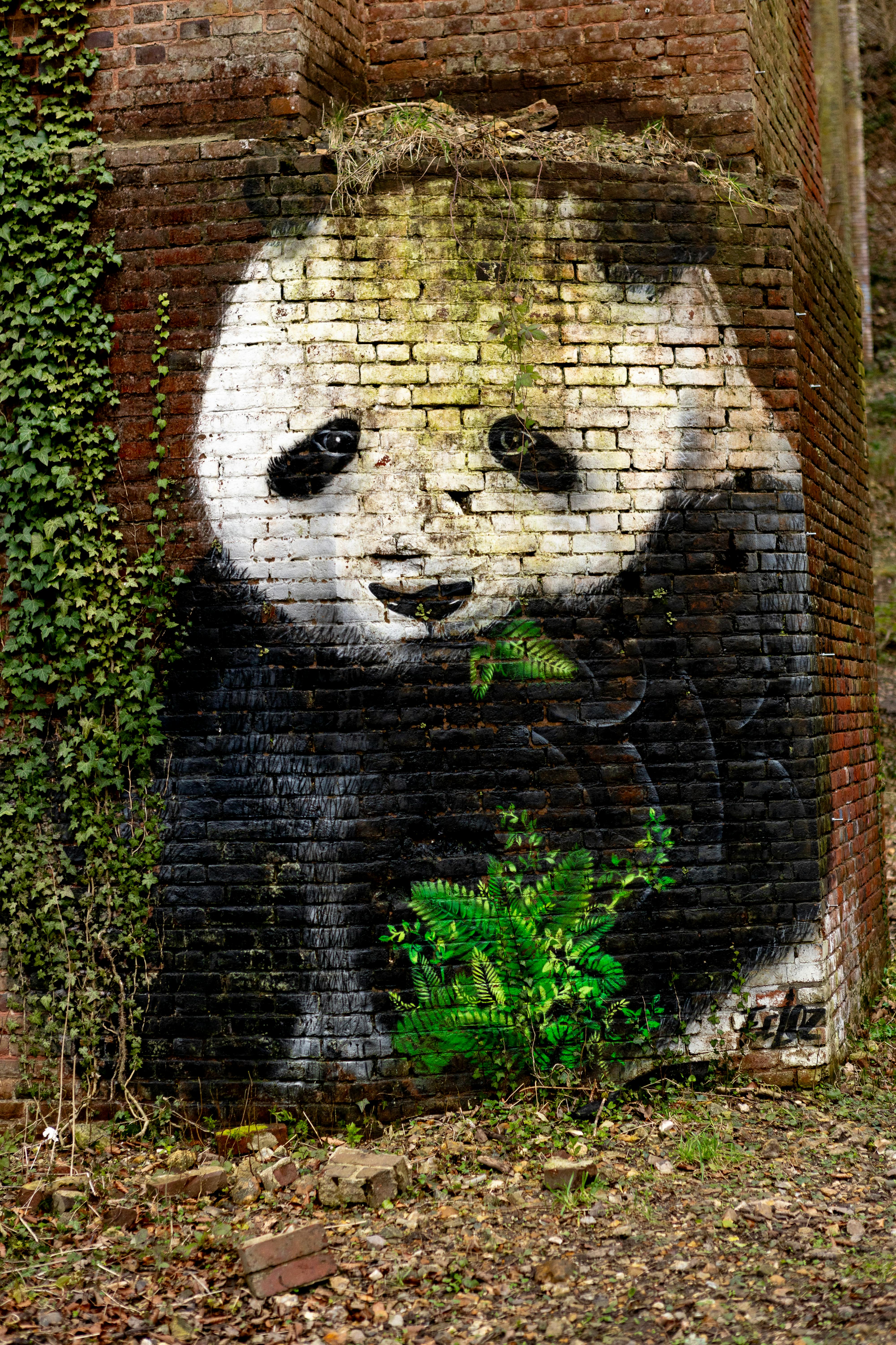Panda Mural on Brick Wall in Urban Setting · Free Stock Photo