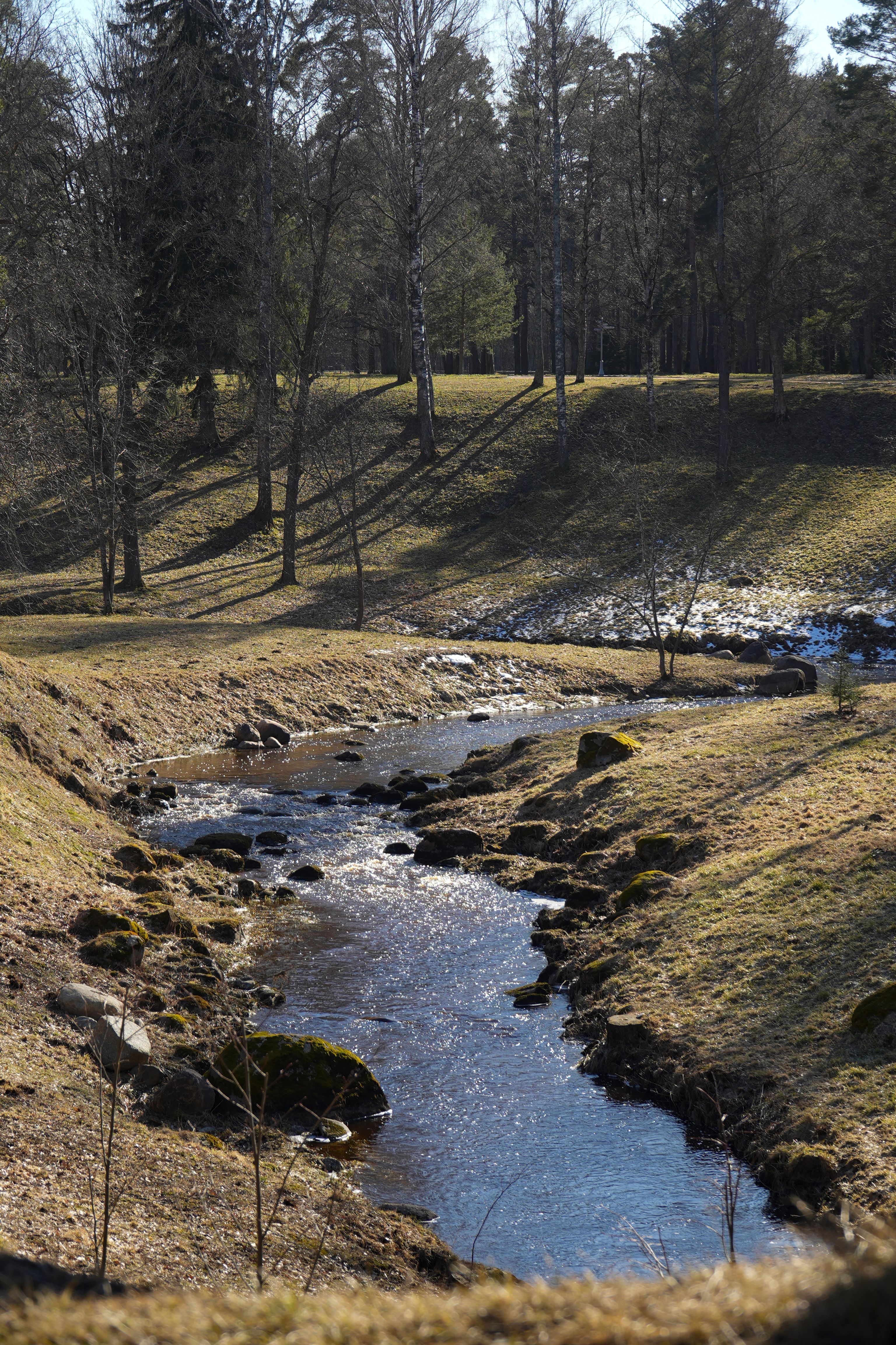 Serene Spring Stream in Saint Petersburg Park · Free Stock Photo