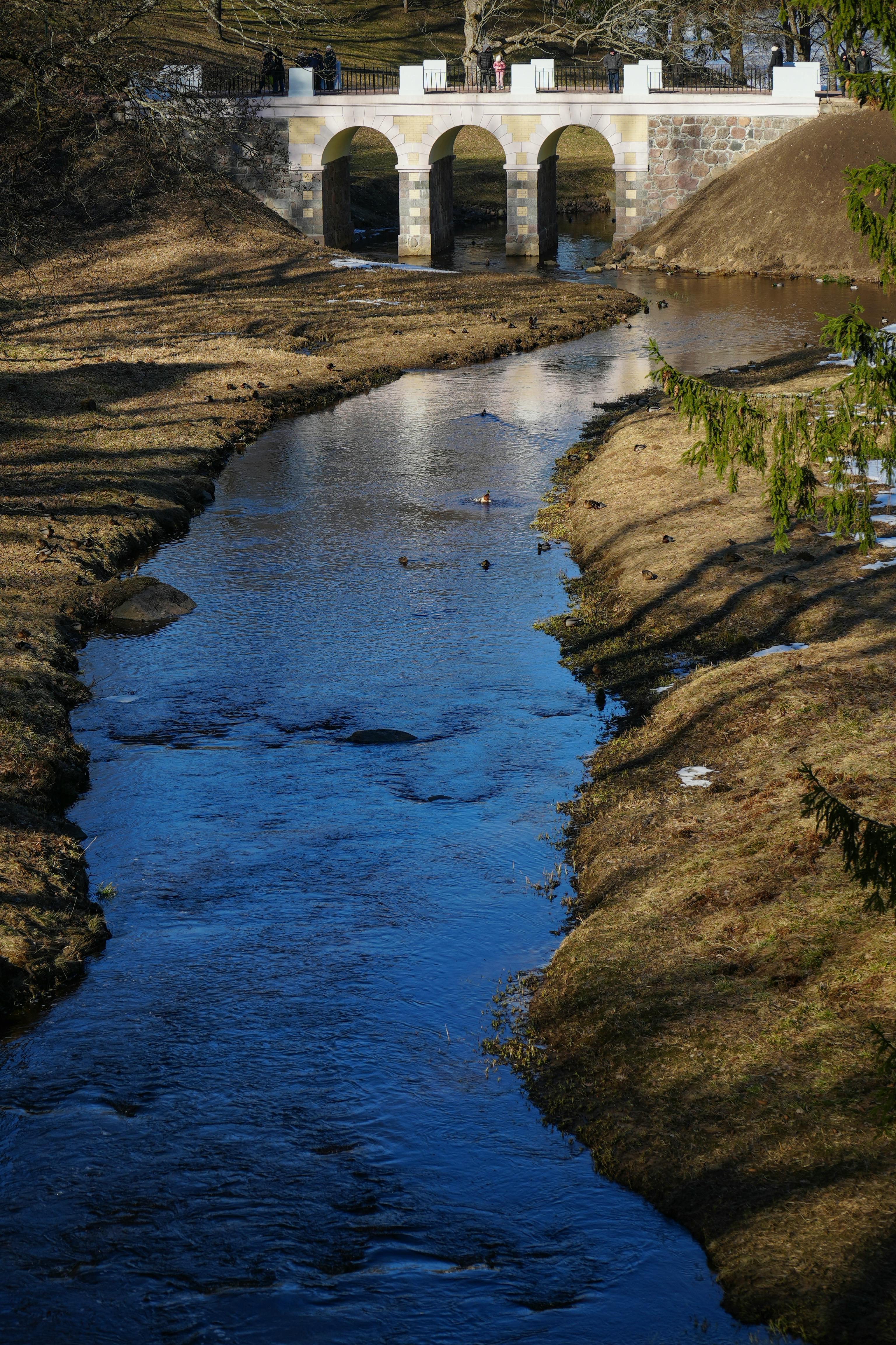 Historical Stone Bridge Over Stream in Early Spring · Free Stock Photo