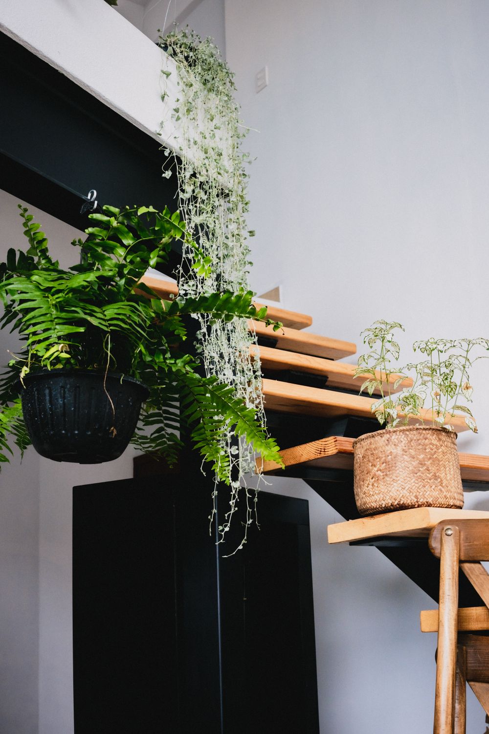 Modern Staircase with Indoor Plants in Puebla · Free Stock Photo