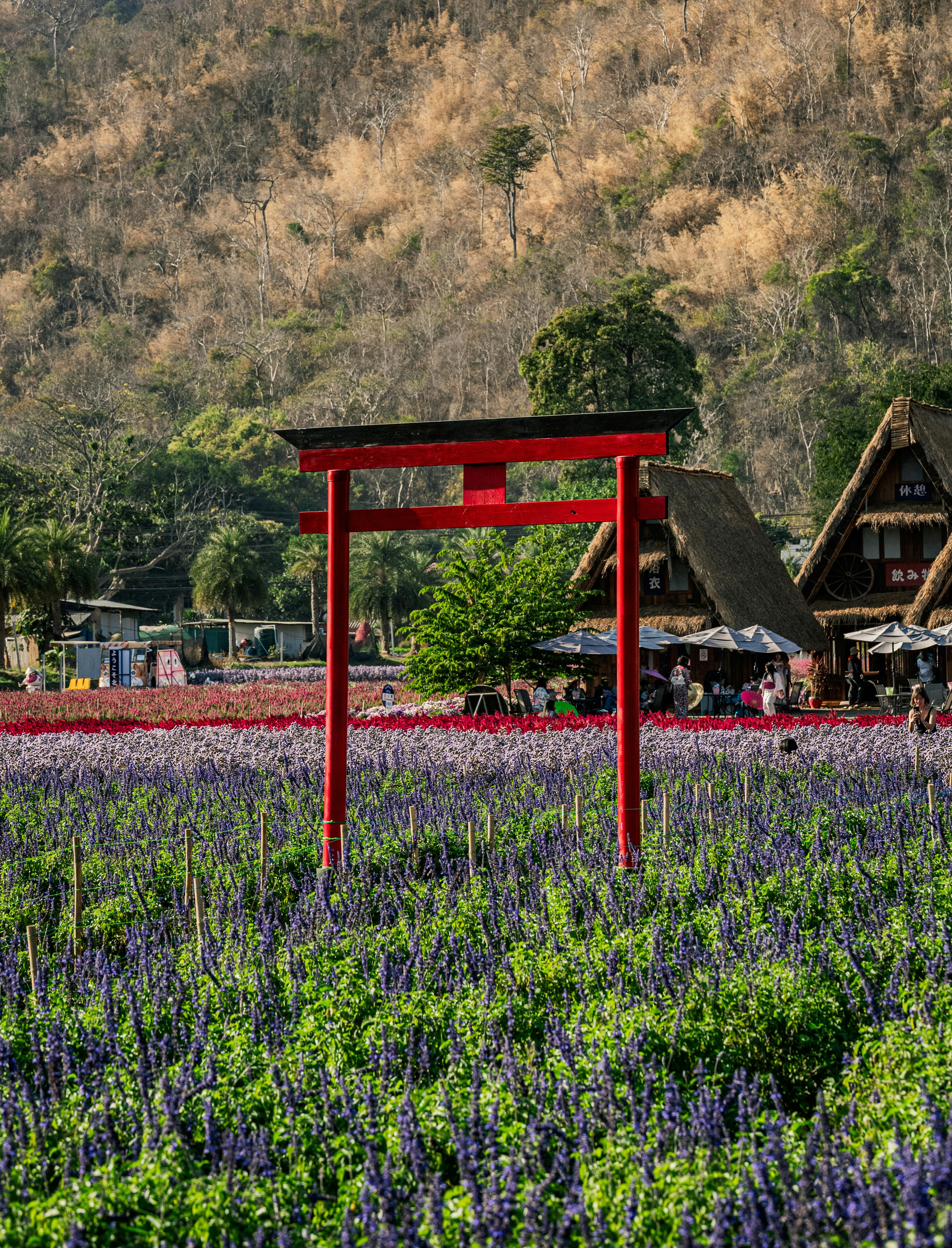 Registration Images Photos, Download The BEST Free Registration Images ...