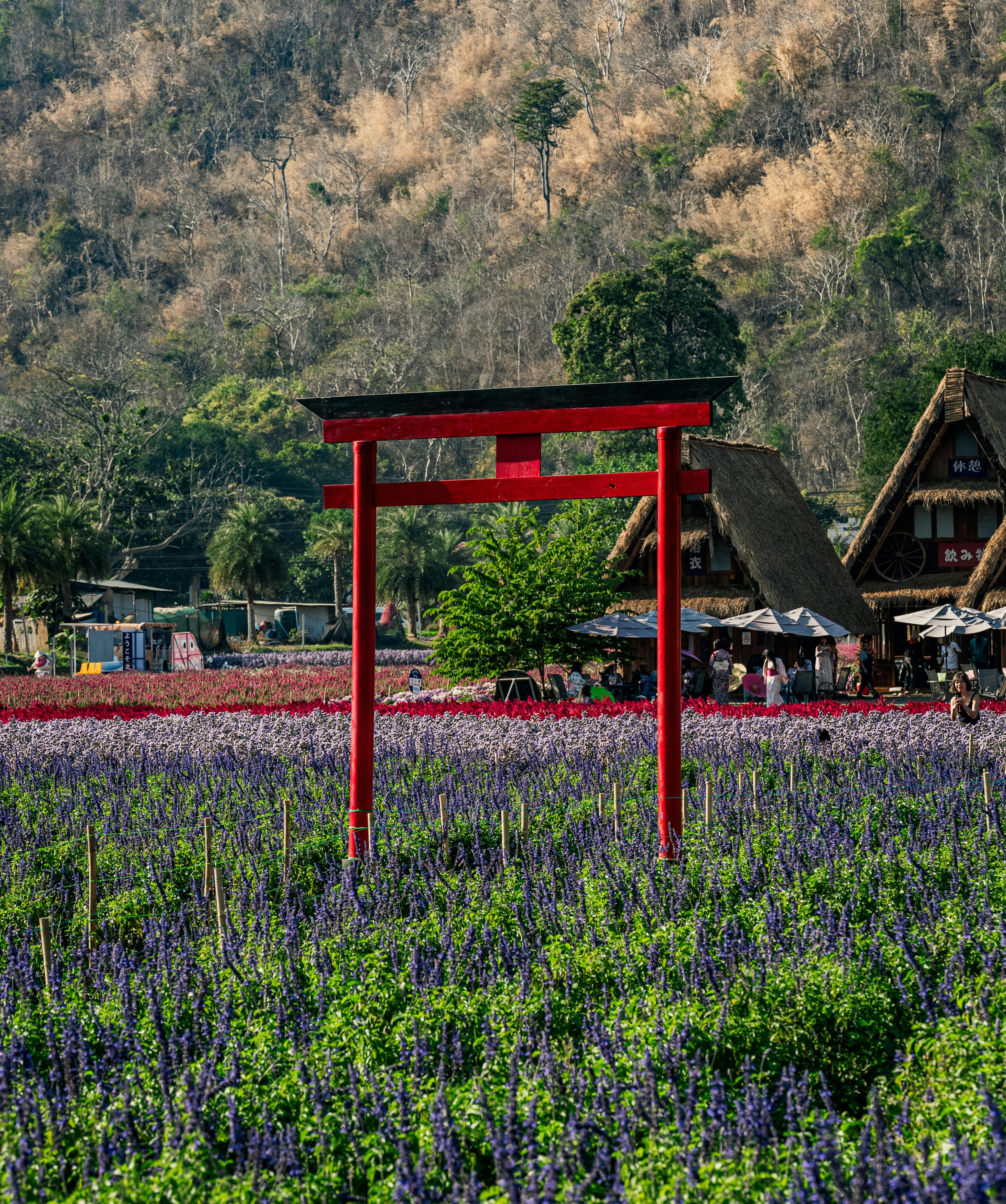Zoom Backgrounds Farmhouse Photos, Download The BEST Free Zoom ...