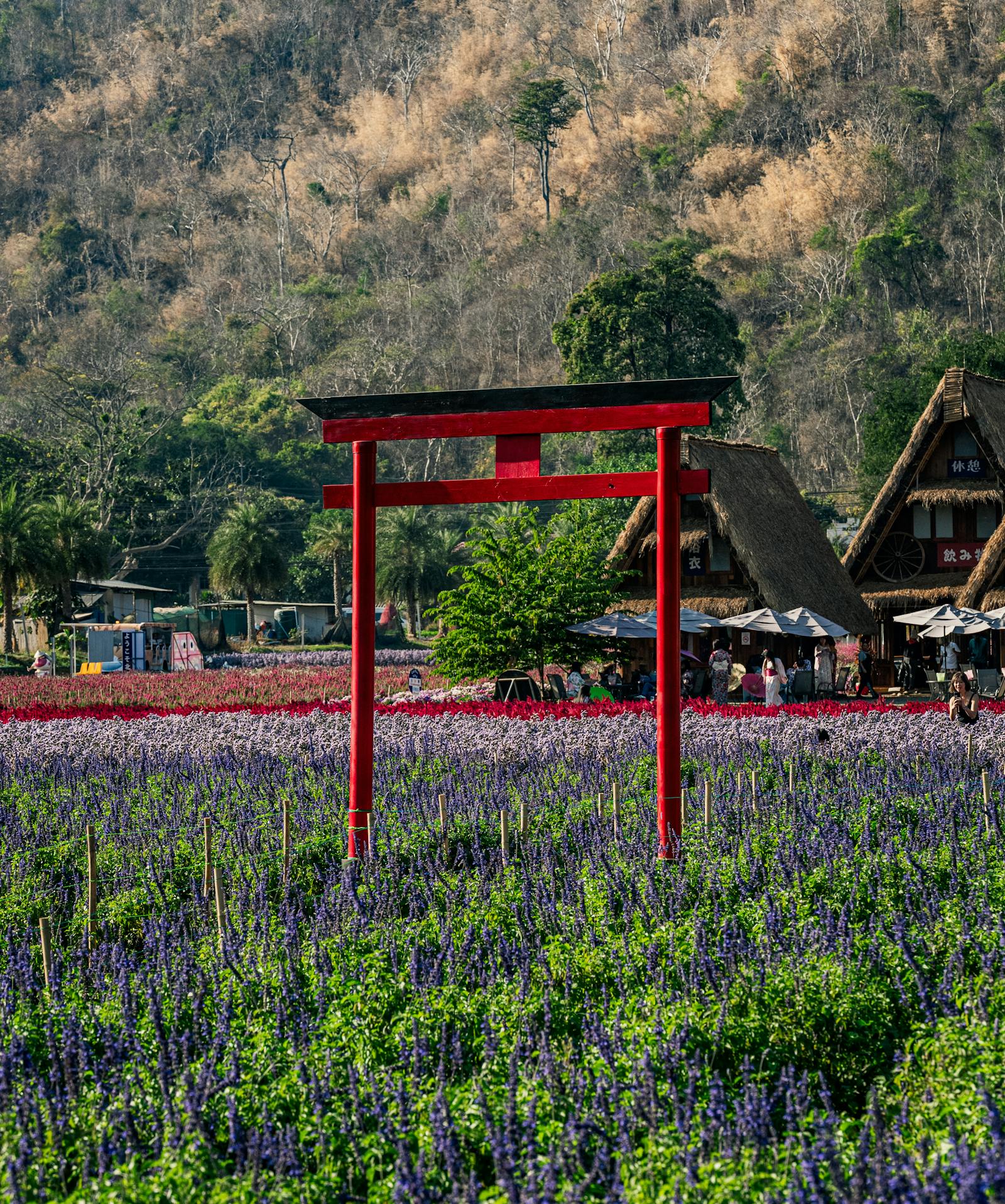 Free Png Photos, Download The BEST Free Free Png Stock Photos & HD Images