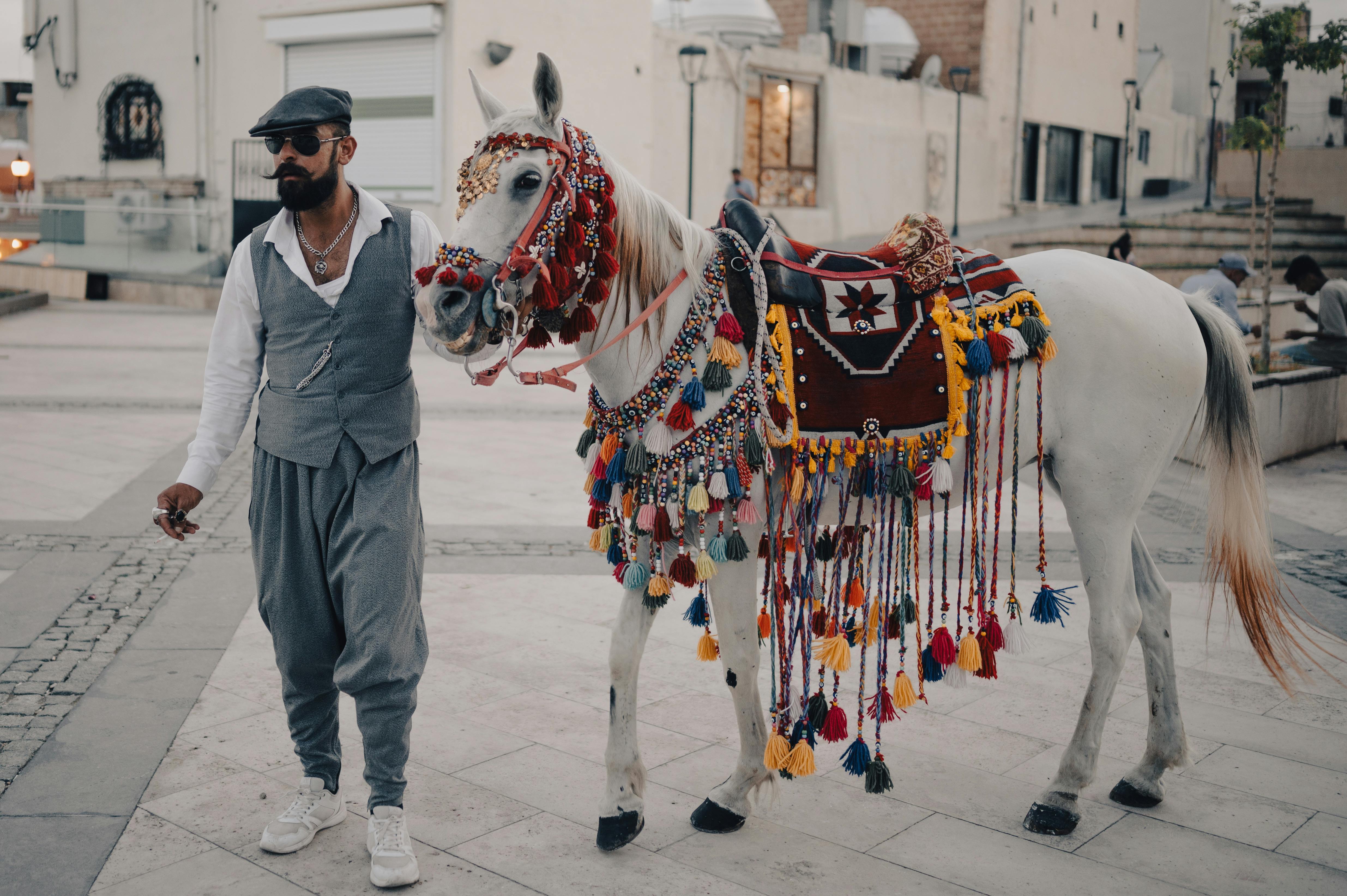 mohammad majid - 摄影