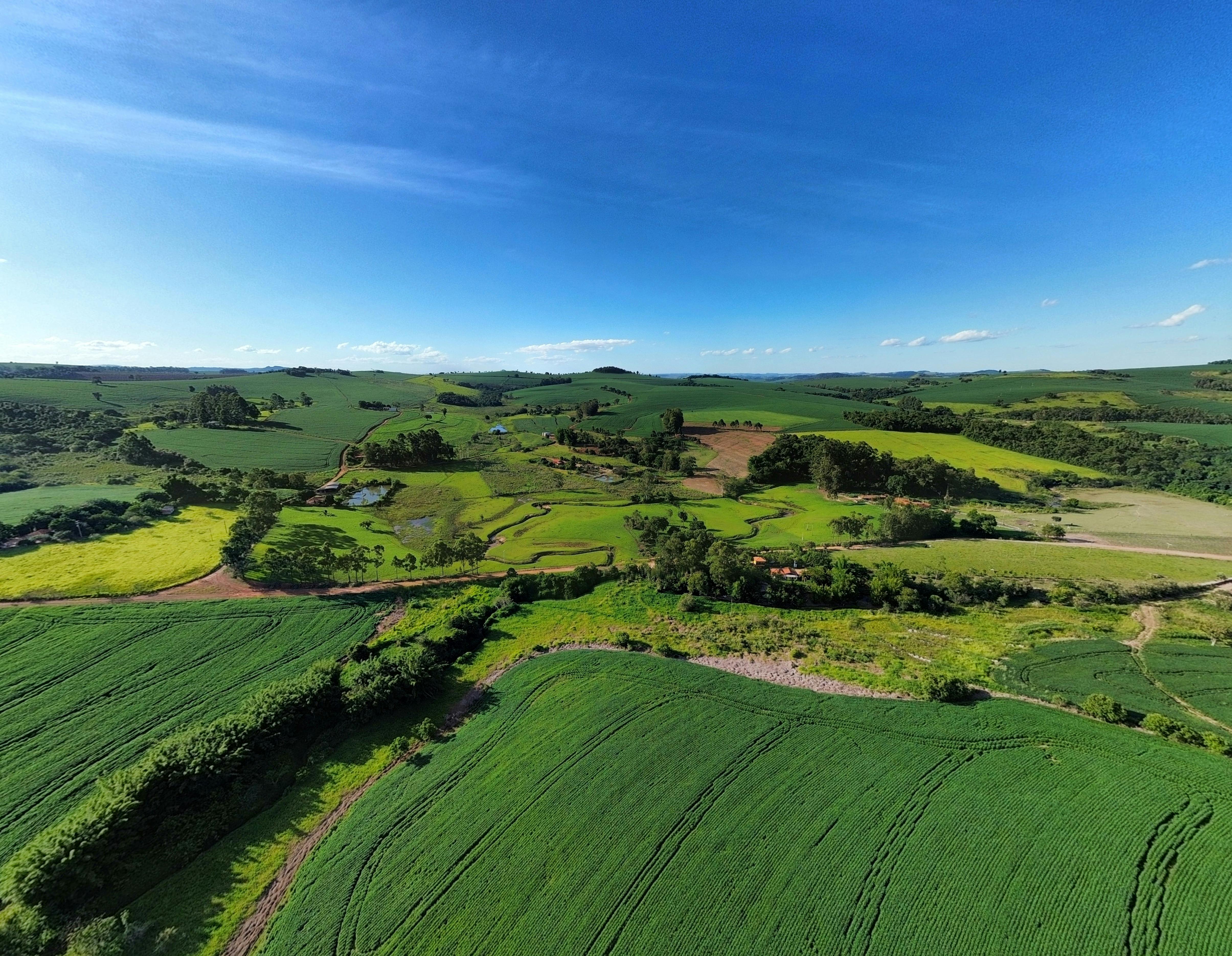 Aerial View of Verdant Agricultural Fields in Brazil · Free Stock Photo