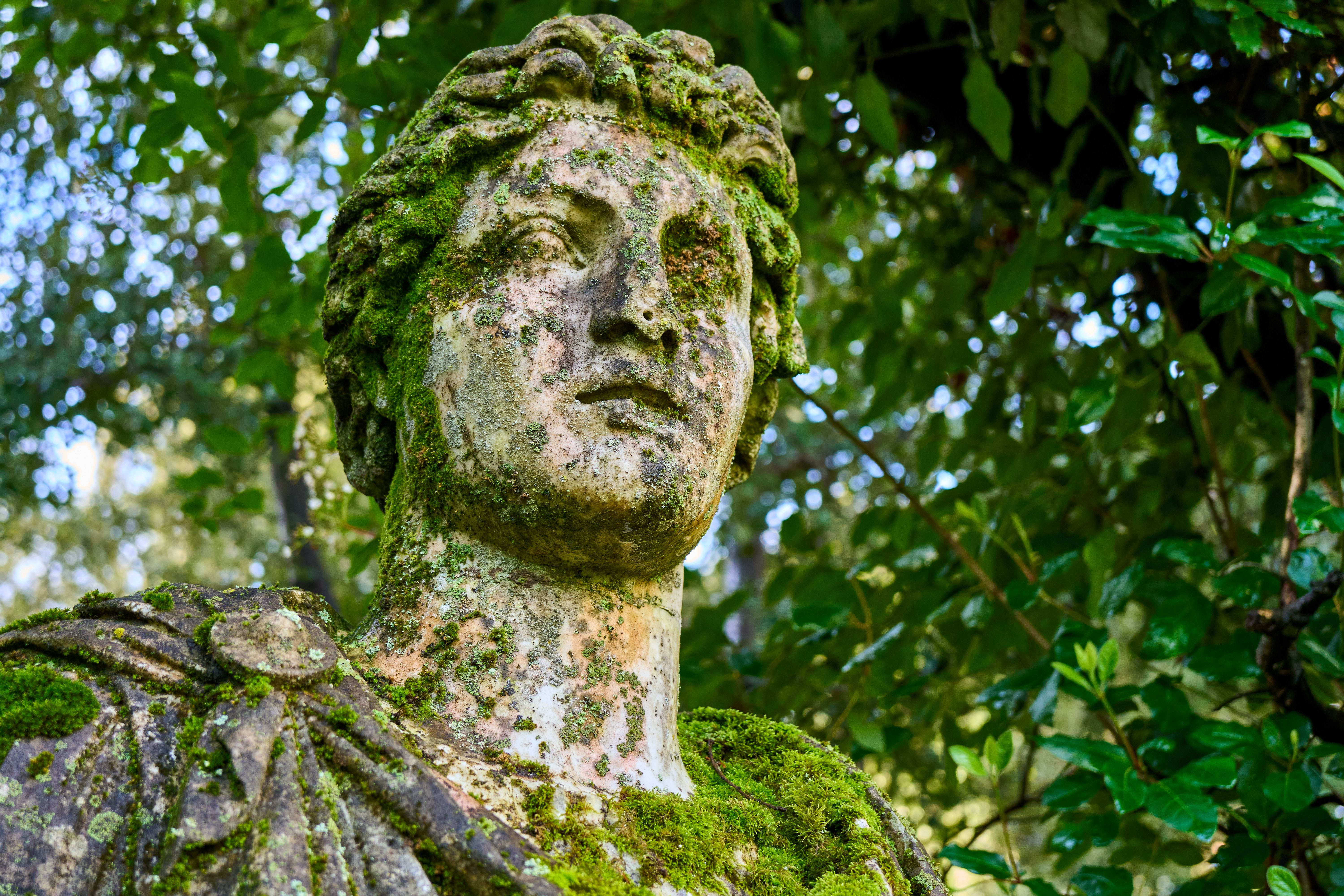 Ancient Statue Covered in Moss and Foliage · Free Stock Photo