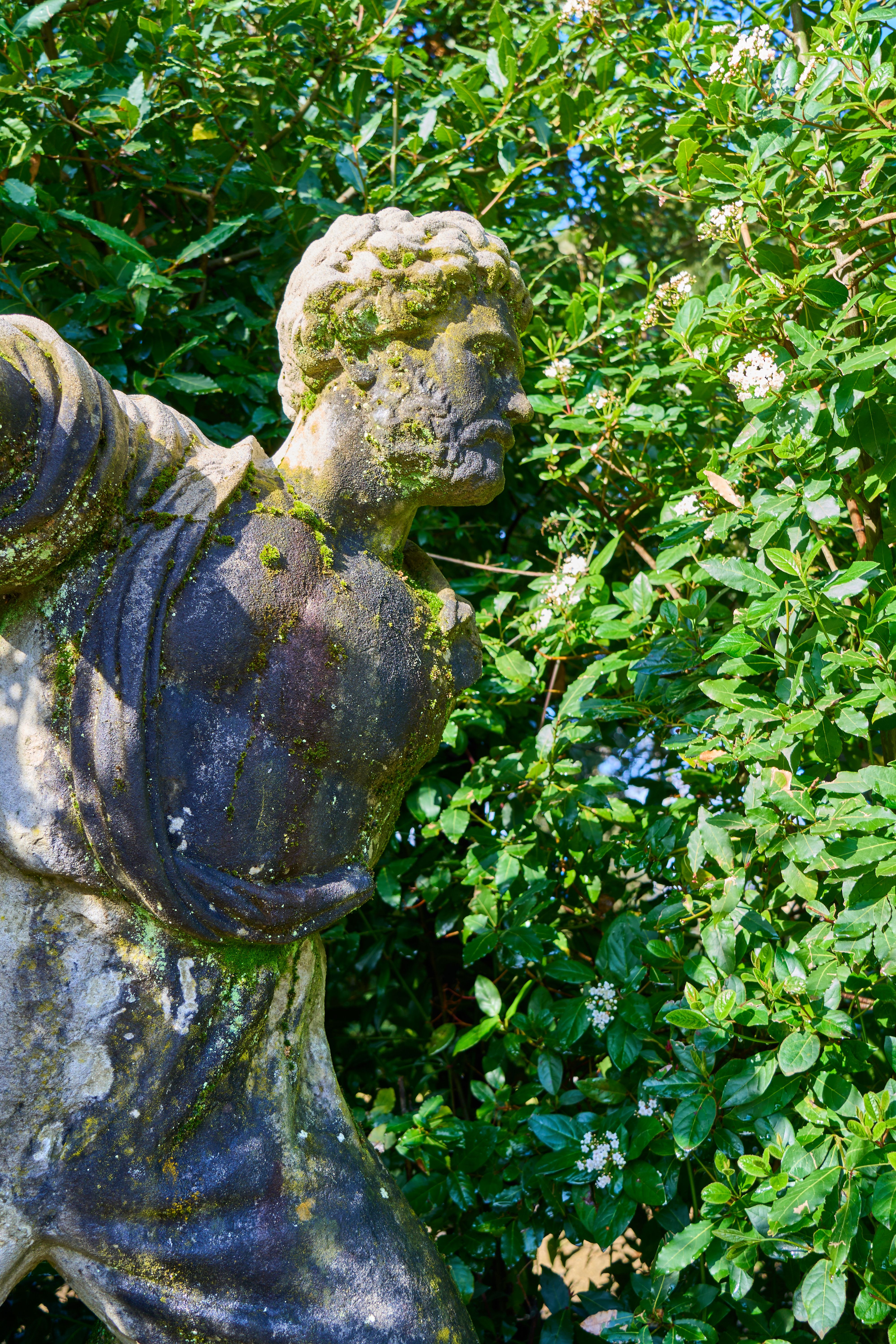 Ancient Stone Statue Surrounded by Green Foliage · Free Stock Photo