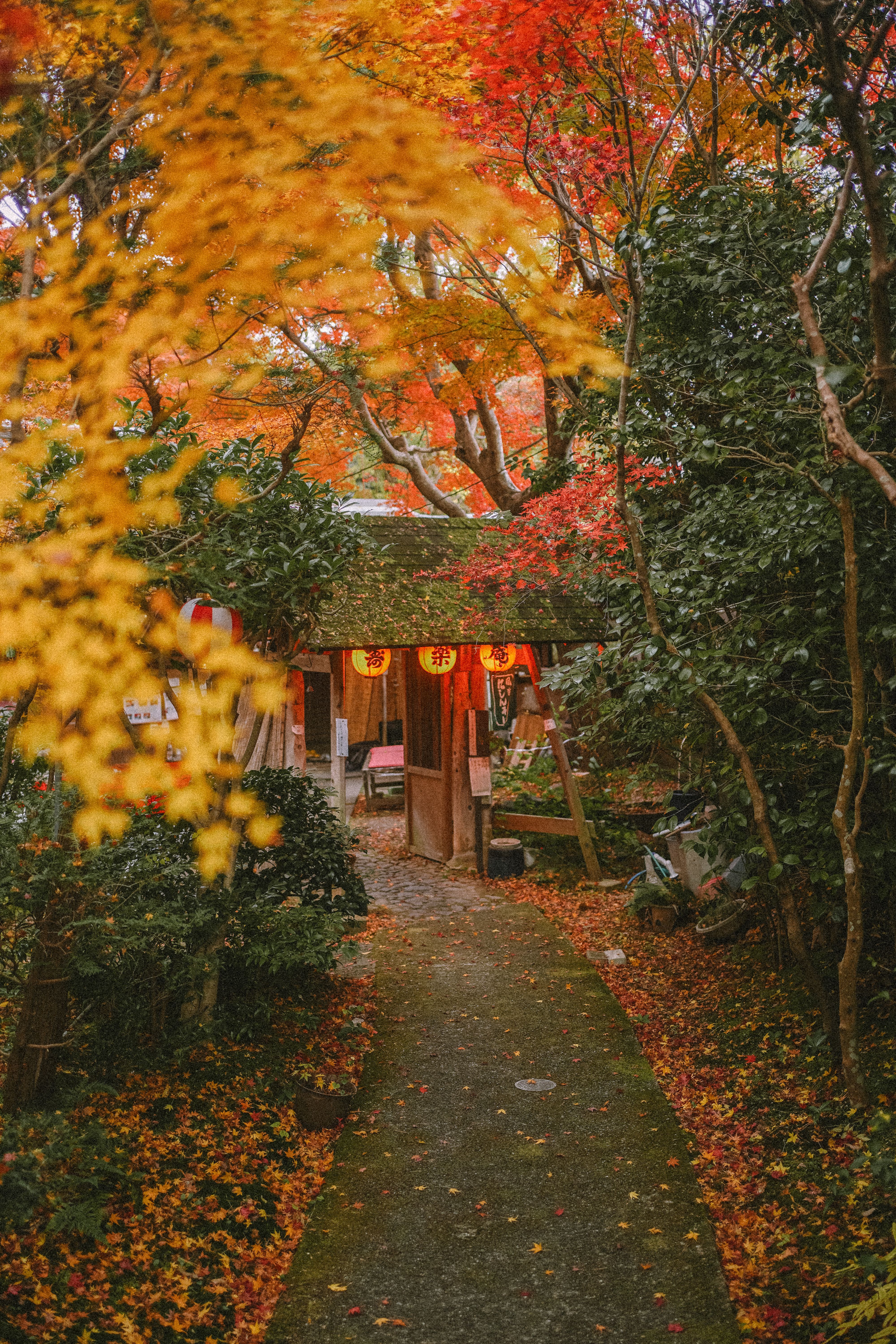 Autumn Japanese Garden Pathway with Lanterns · Free Stock Photo