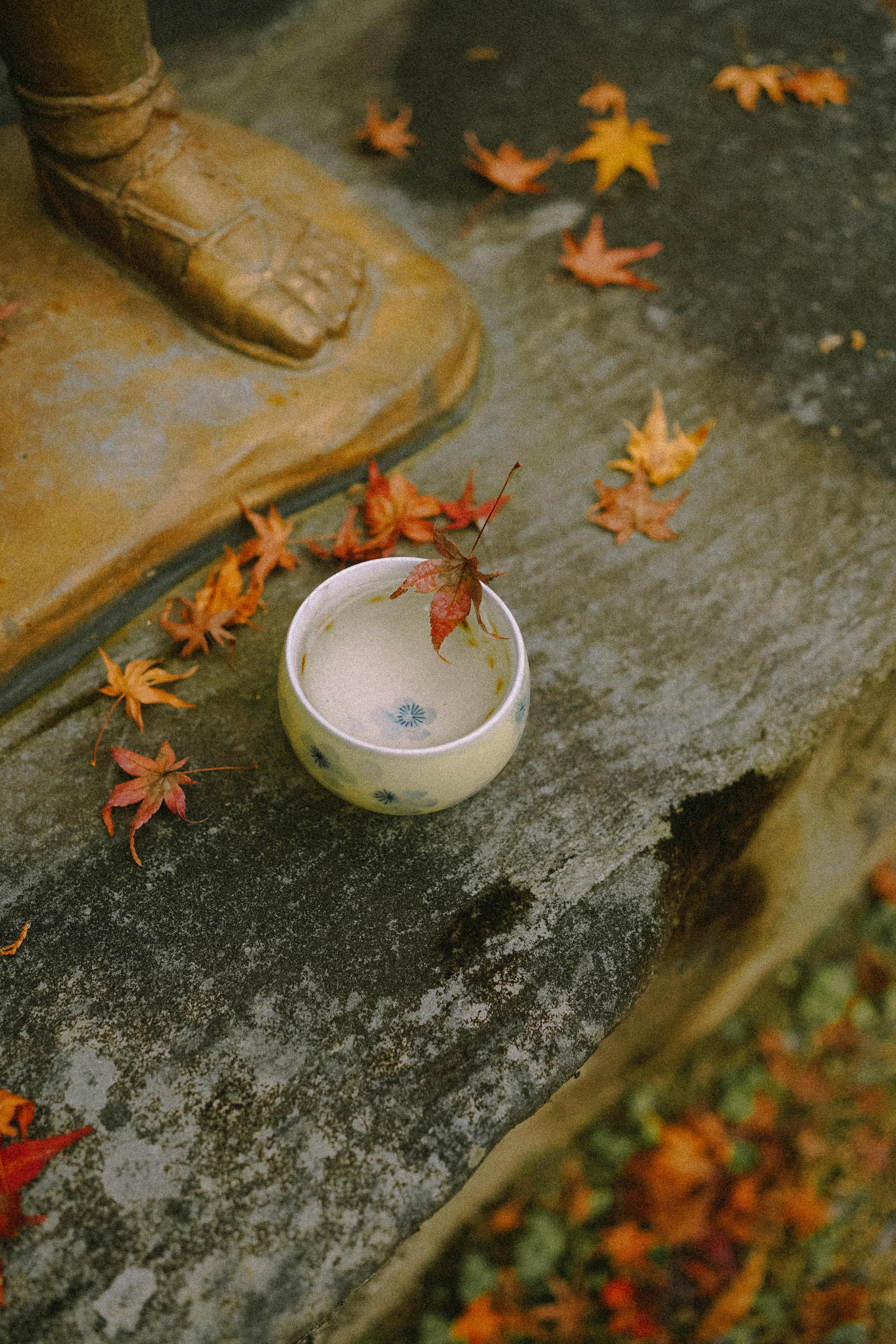 Autumn Leaves on Stone with Ceramic Bowl · Free Stock Photo