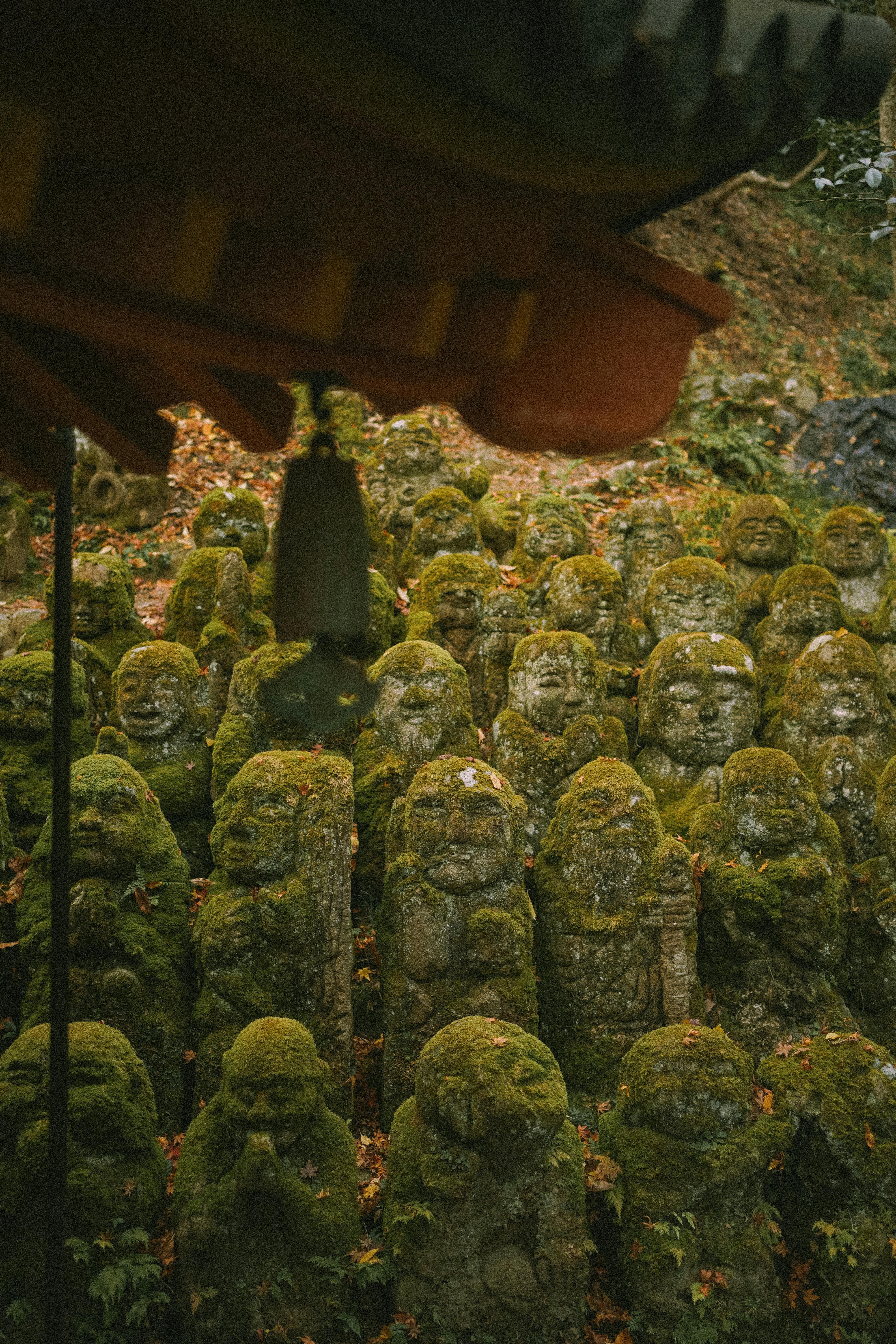 Moss-Covered Buddha Statues in Serene Forest Setting · Free Stock Photo