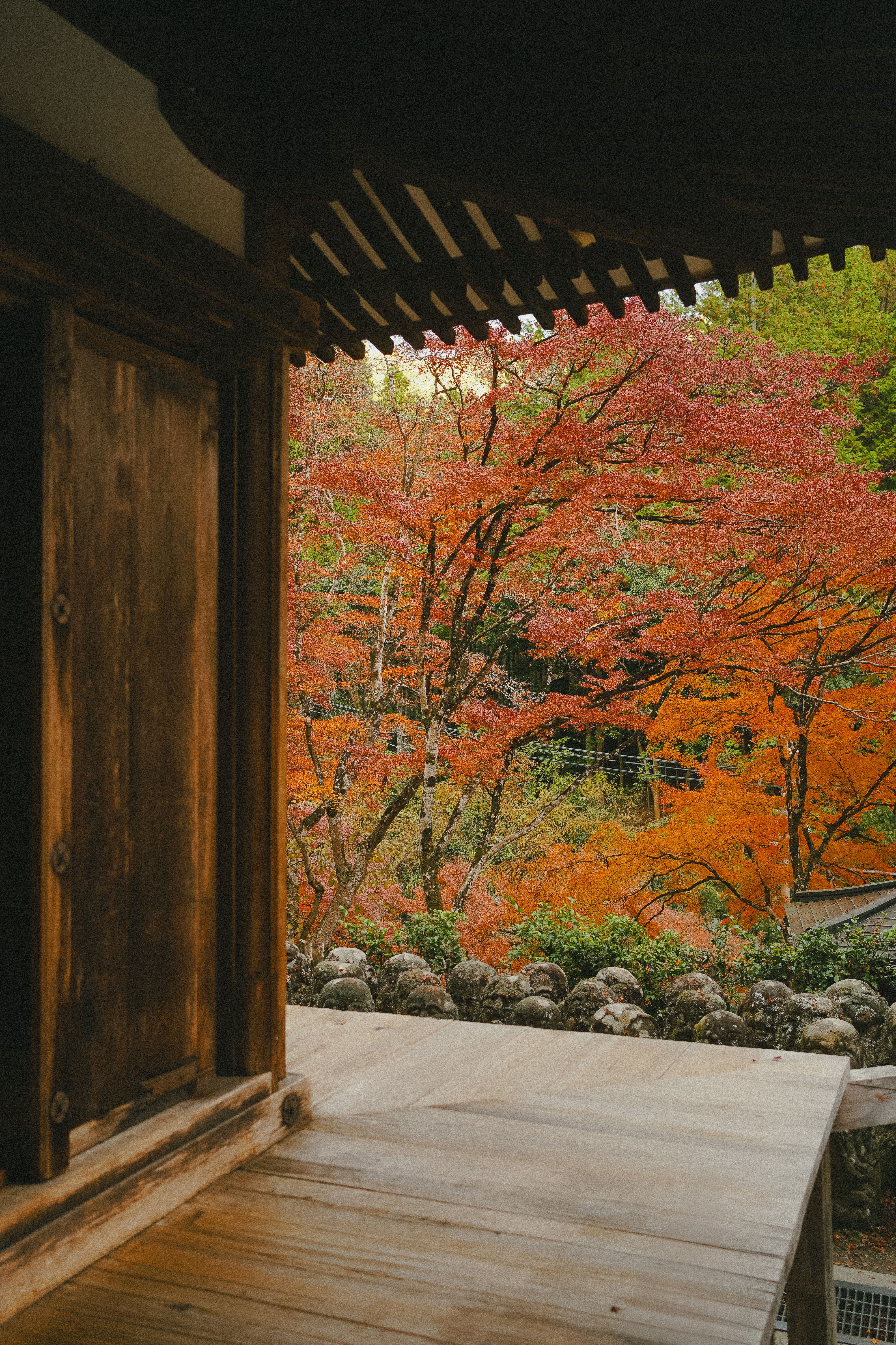 Autumn Leaves View from Traditional Japanese Building · Free Stock Photo