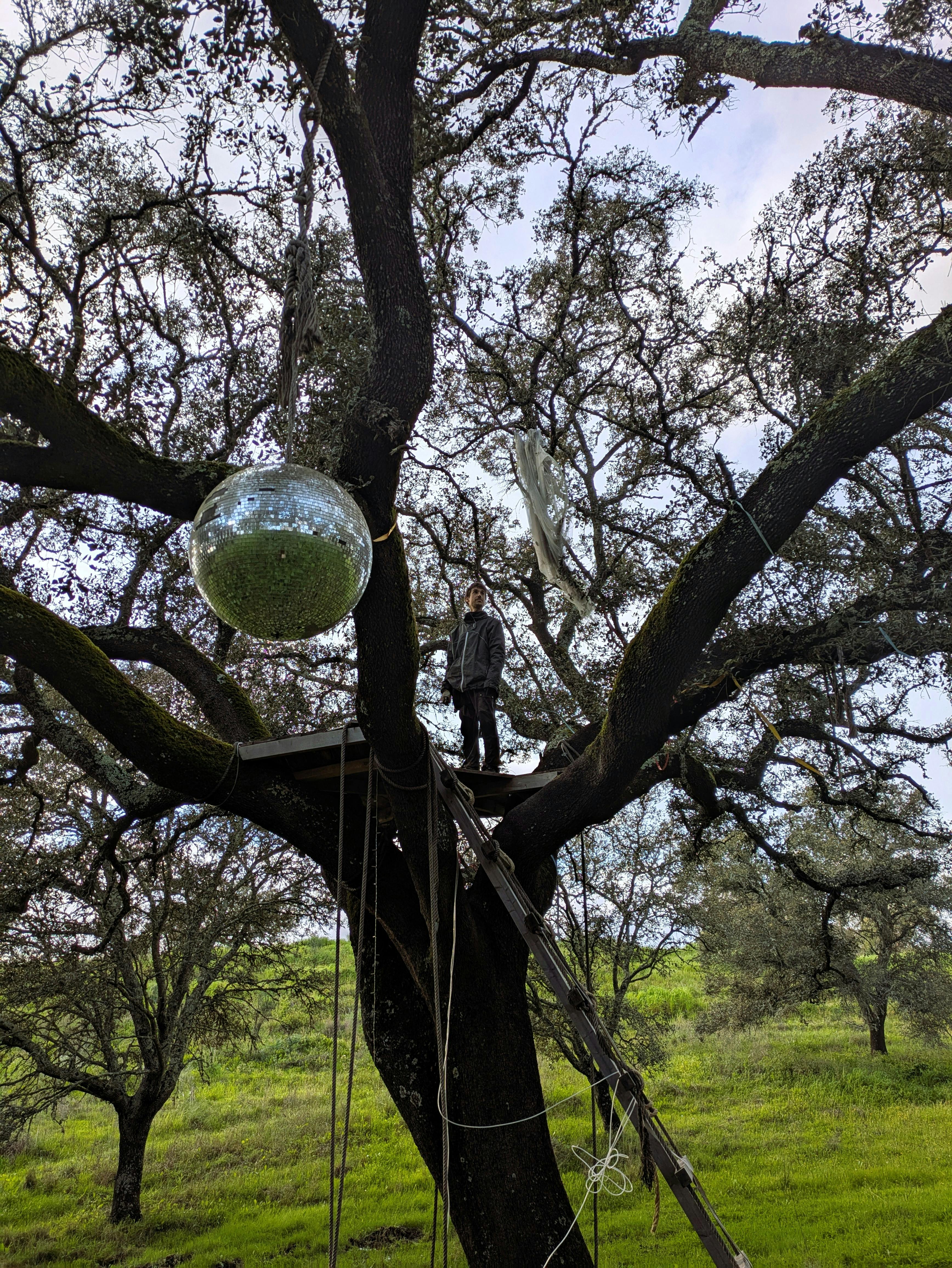 Treehouse Adventure with Hanging Bubble Chair · Free Stock Photo