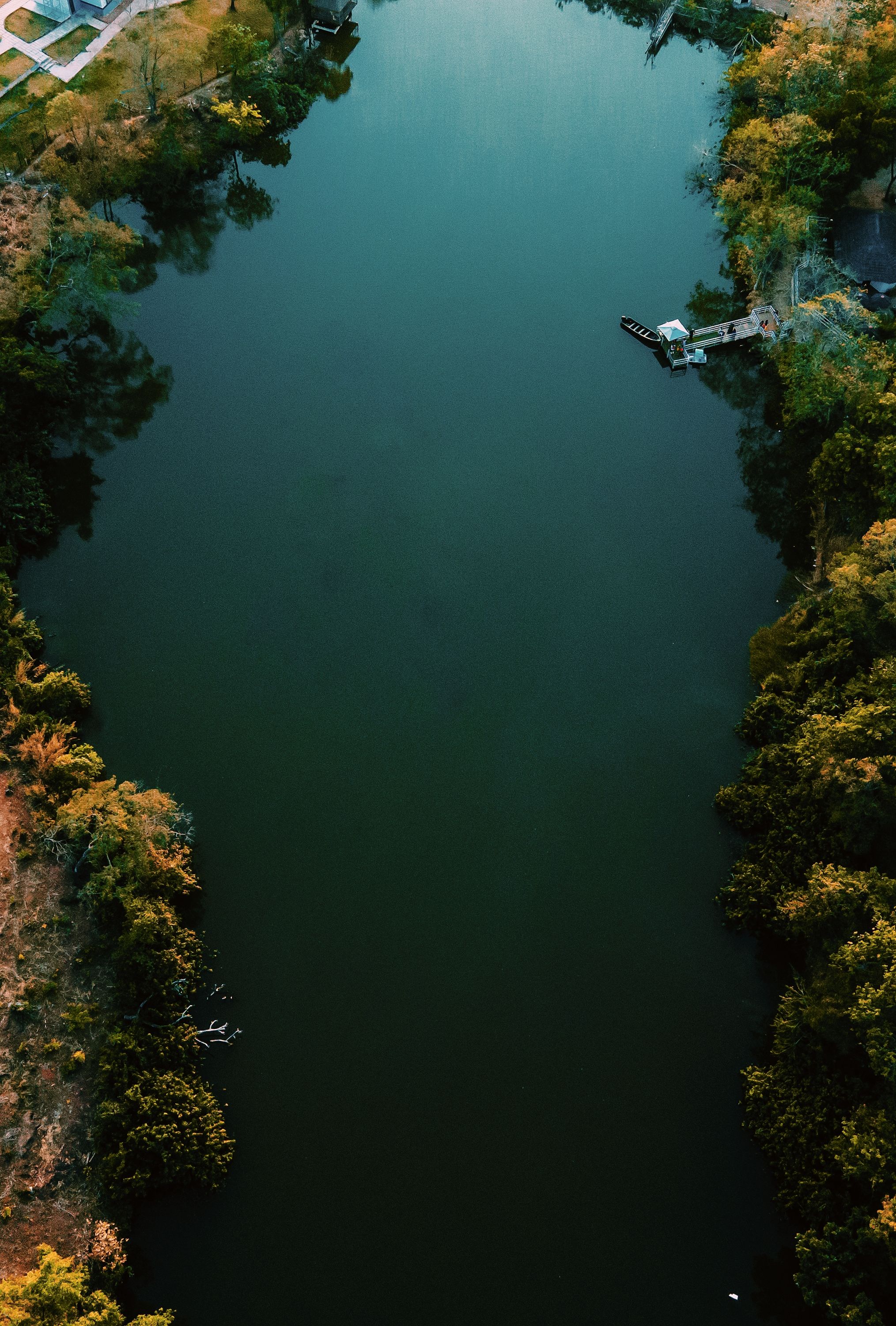 Aerial View of Tranquil River Surrounded by Trees · Free Stock Photo