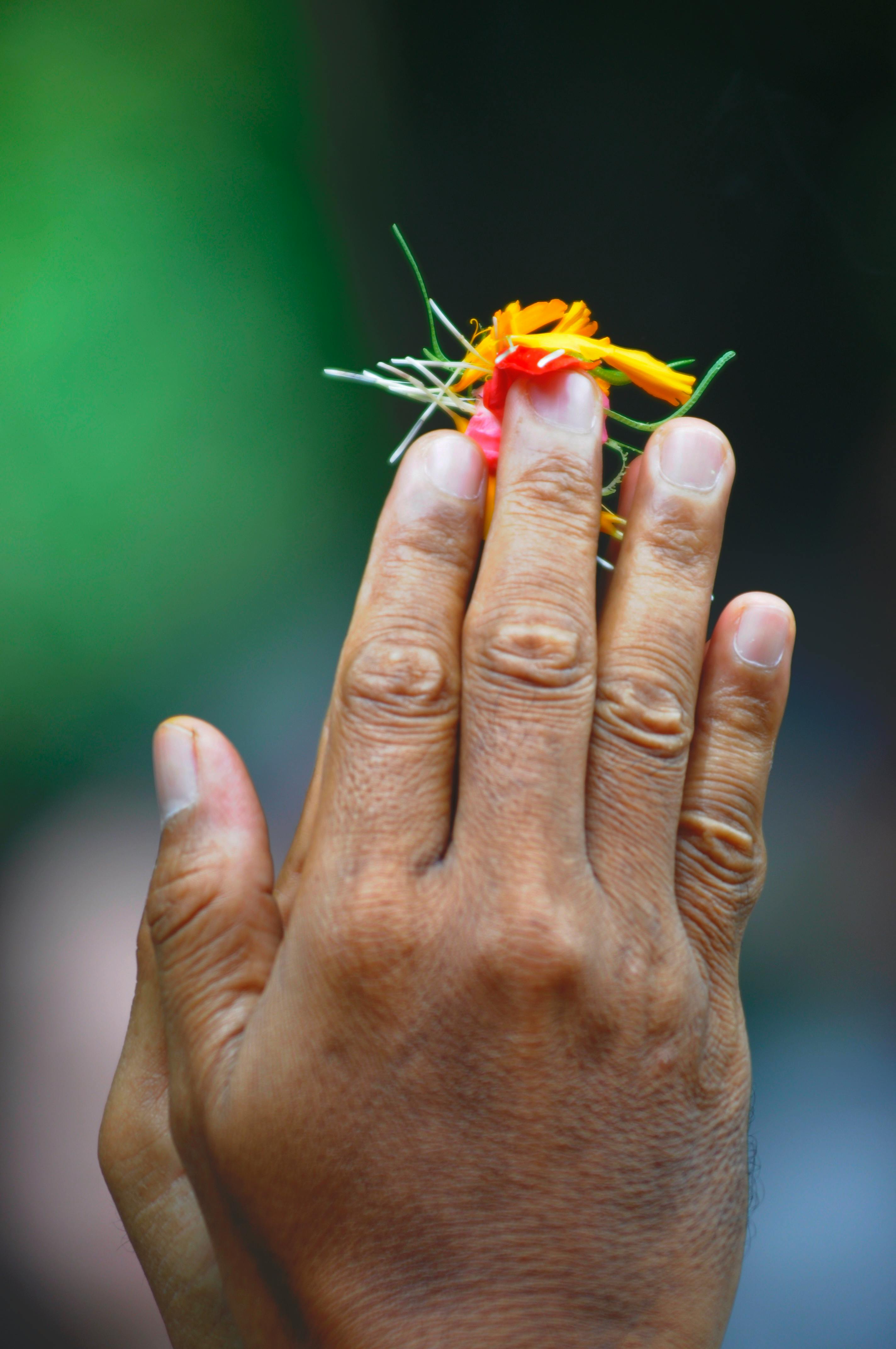 Sesajen Berpegangan Tangan Dalam Upacara Ritual Bali · Foto Stok Gratis