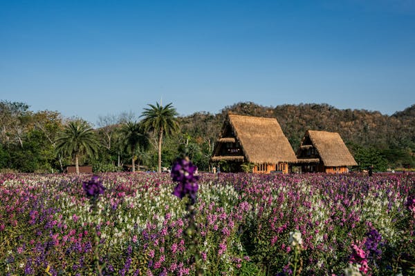 Free Photos Photos, Download The BEST Free Free Photos Stock Photos ...