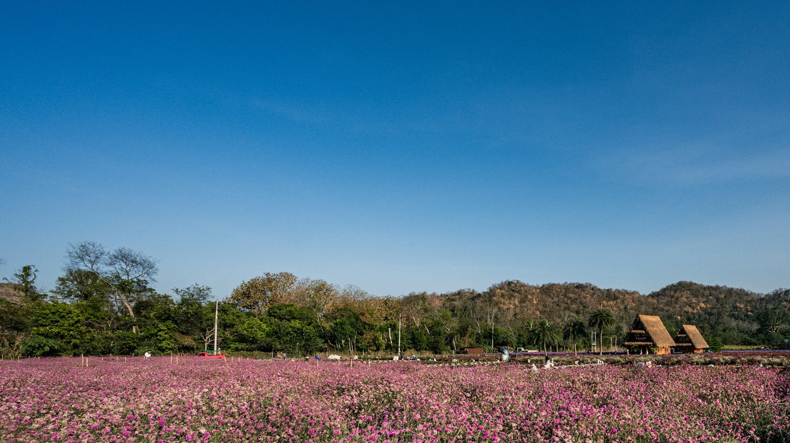 Royalty Free Background Photos, Download The BEST Free Royalty Free ...