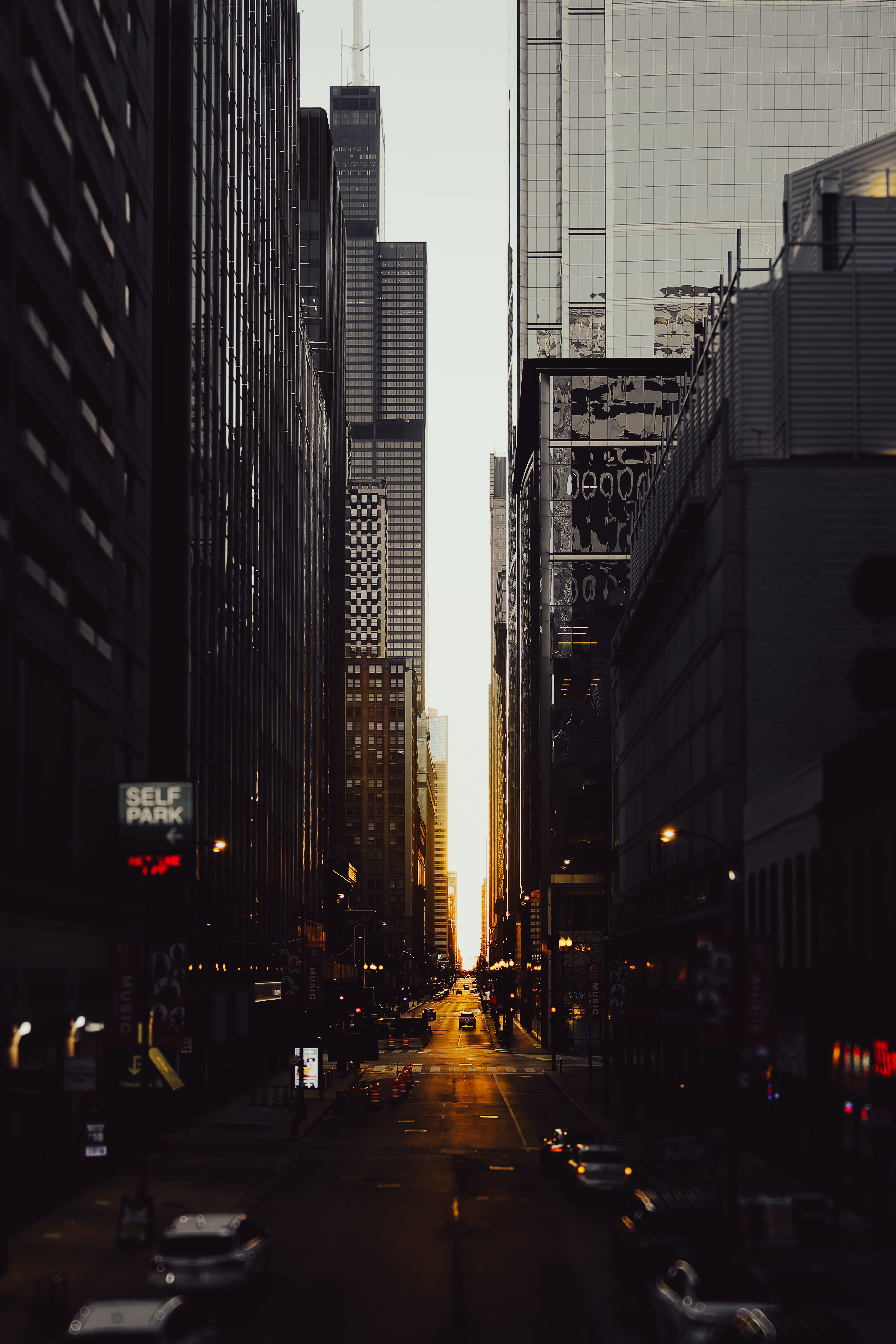 Chicago Street View During Sunset with Skyscrapers · Free Stock Photo