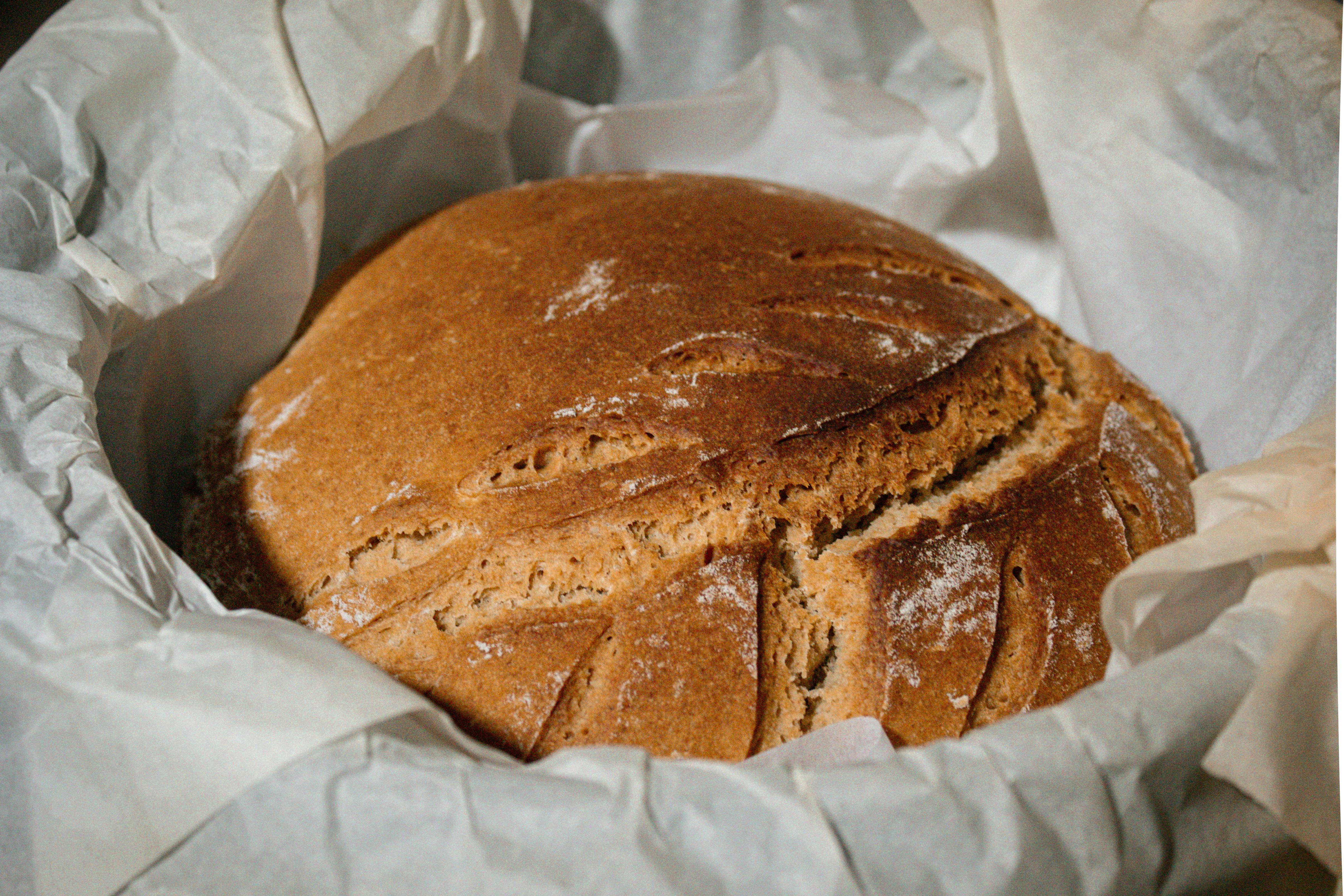 Freshly Baked Rustic Wholegrain Bread · Free Stock Photo