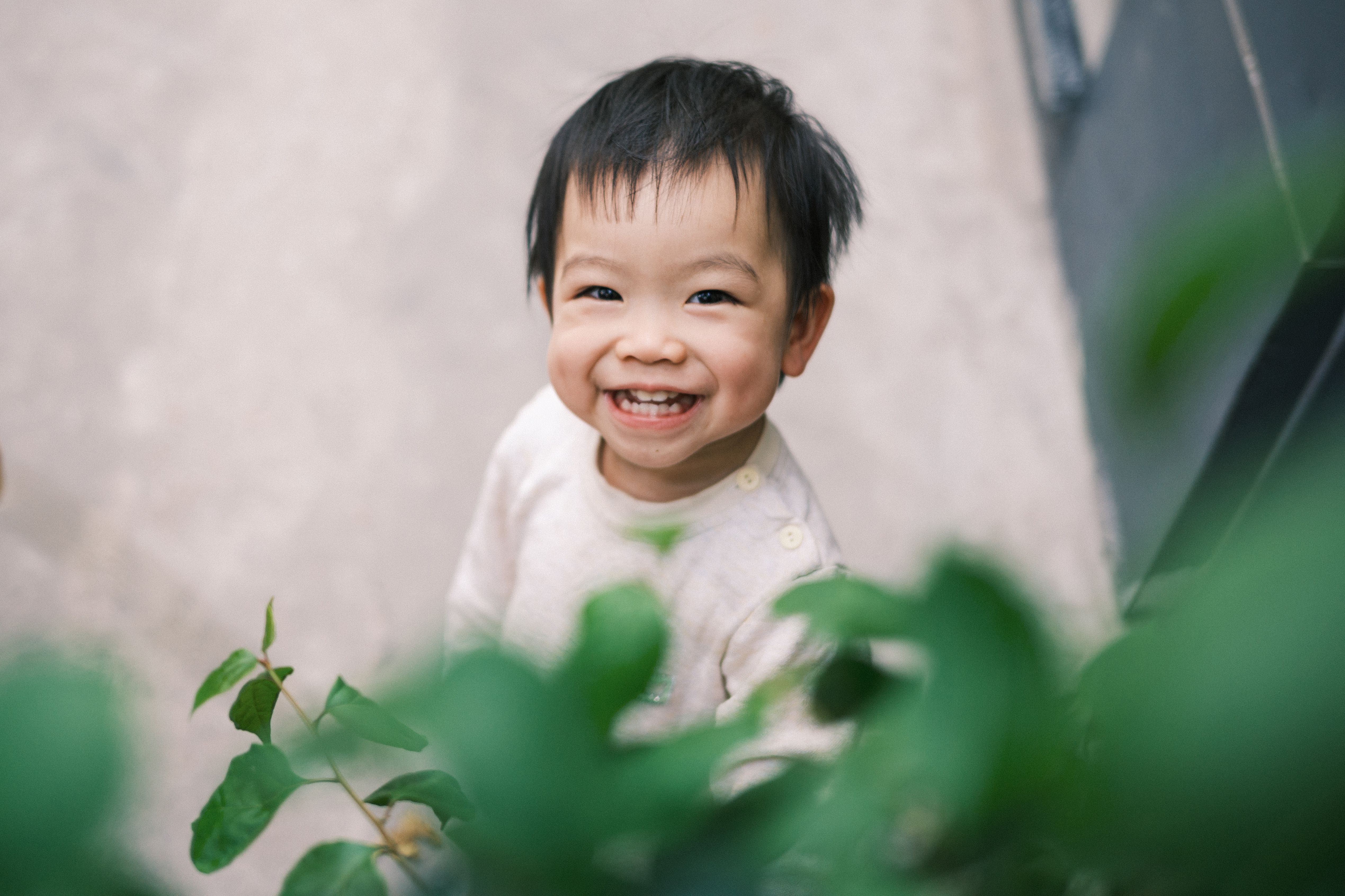 Smiling Child Surrounded by Green Foliage · Free Stock Photo