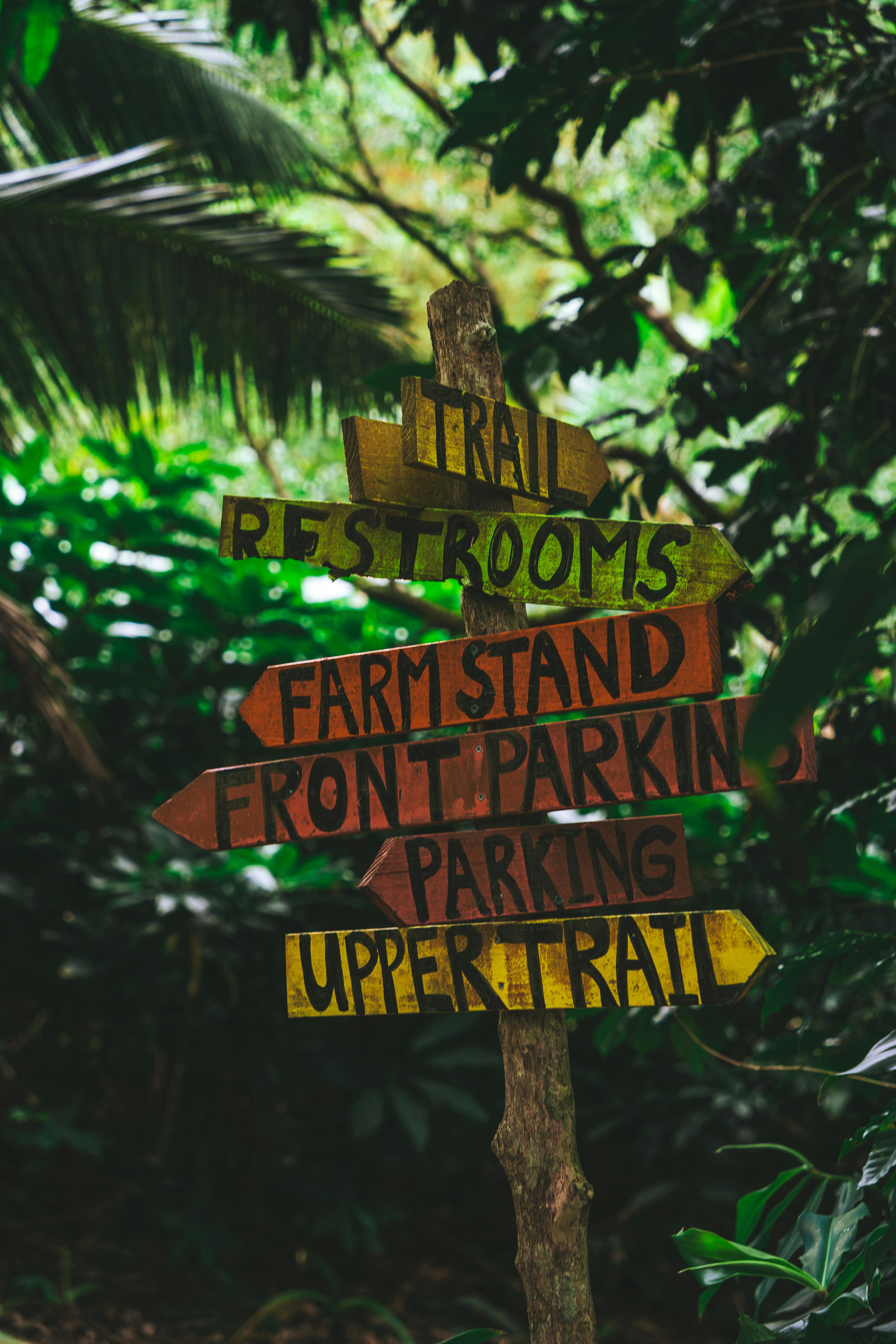 Colorful Outdoor Signpost in Tropical Forest · Free Stock Photo