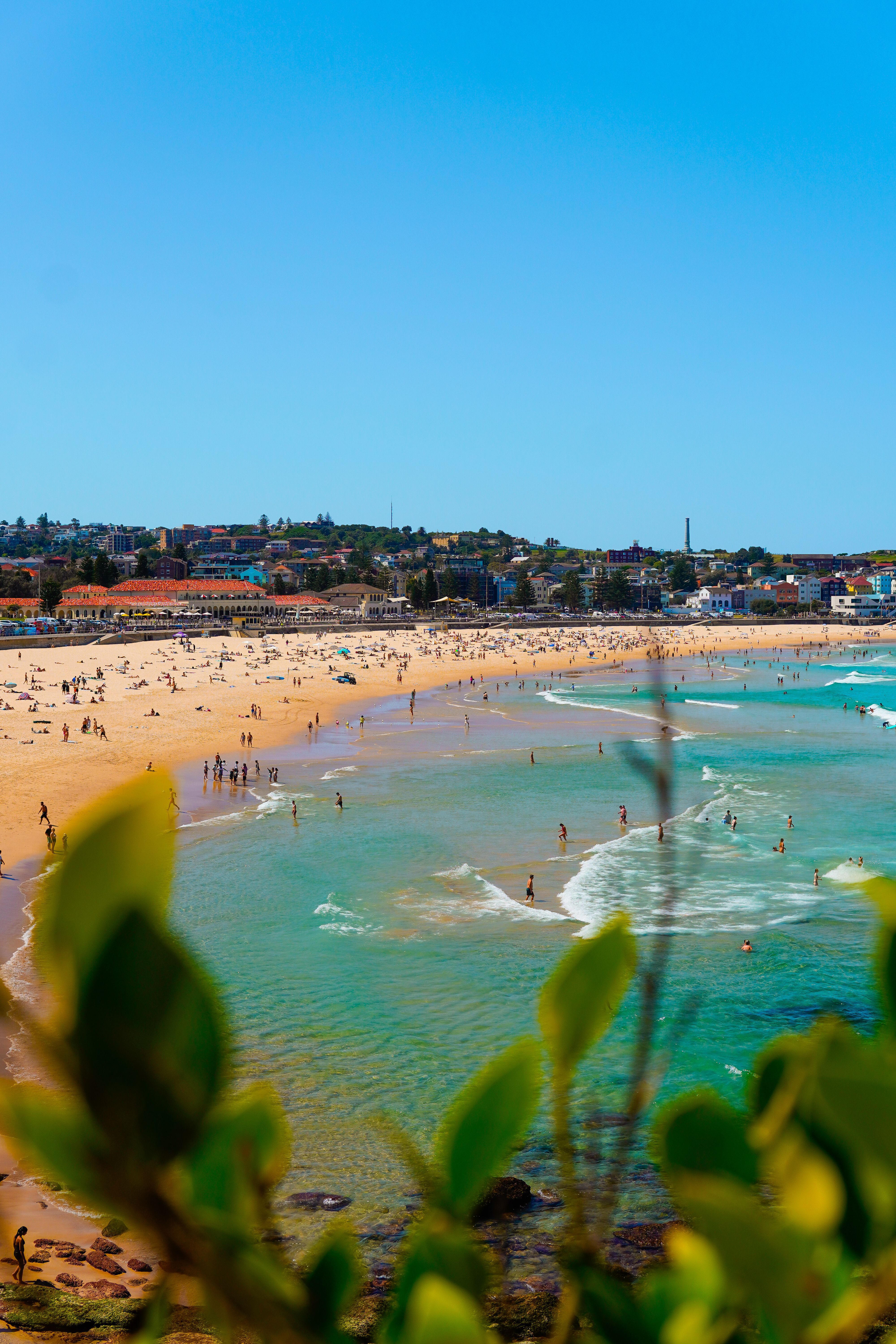 Sunny Day at Bondi Beach, Australia · Free Stock Photo