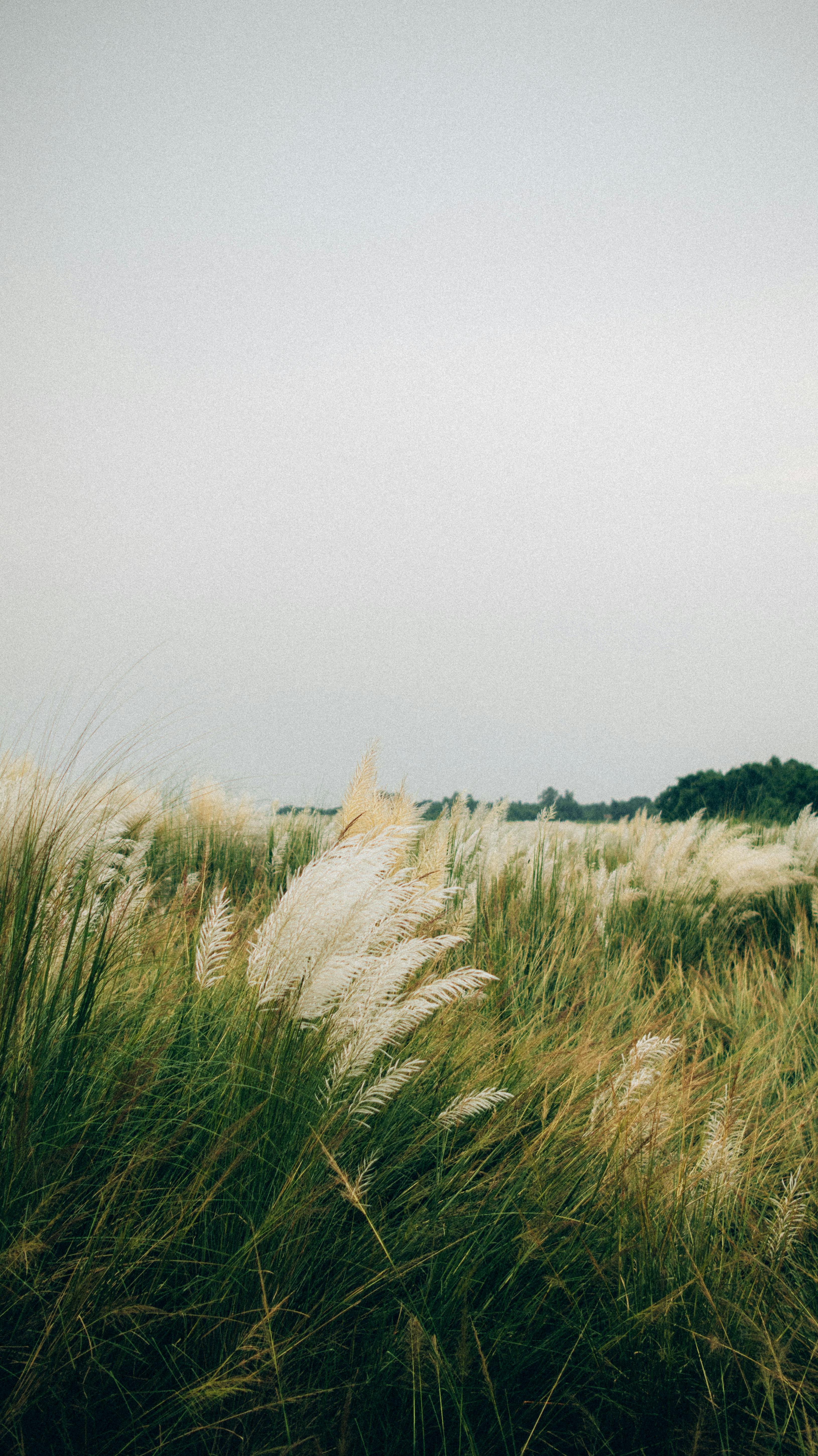 Low Contrast Photos, Download The BEST Free Low Contrast Stock Photos ...