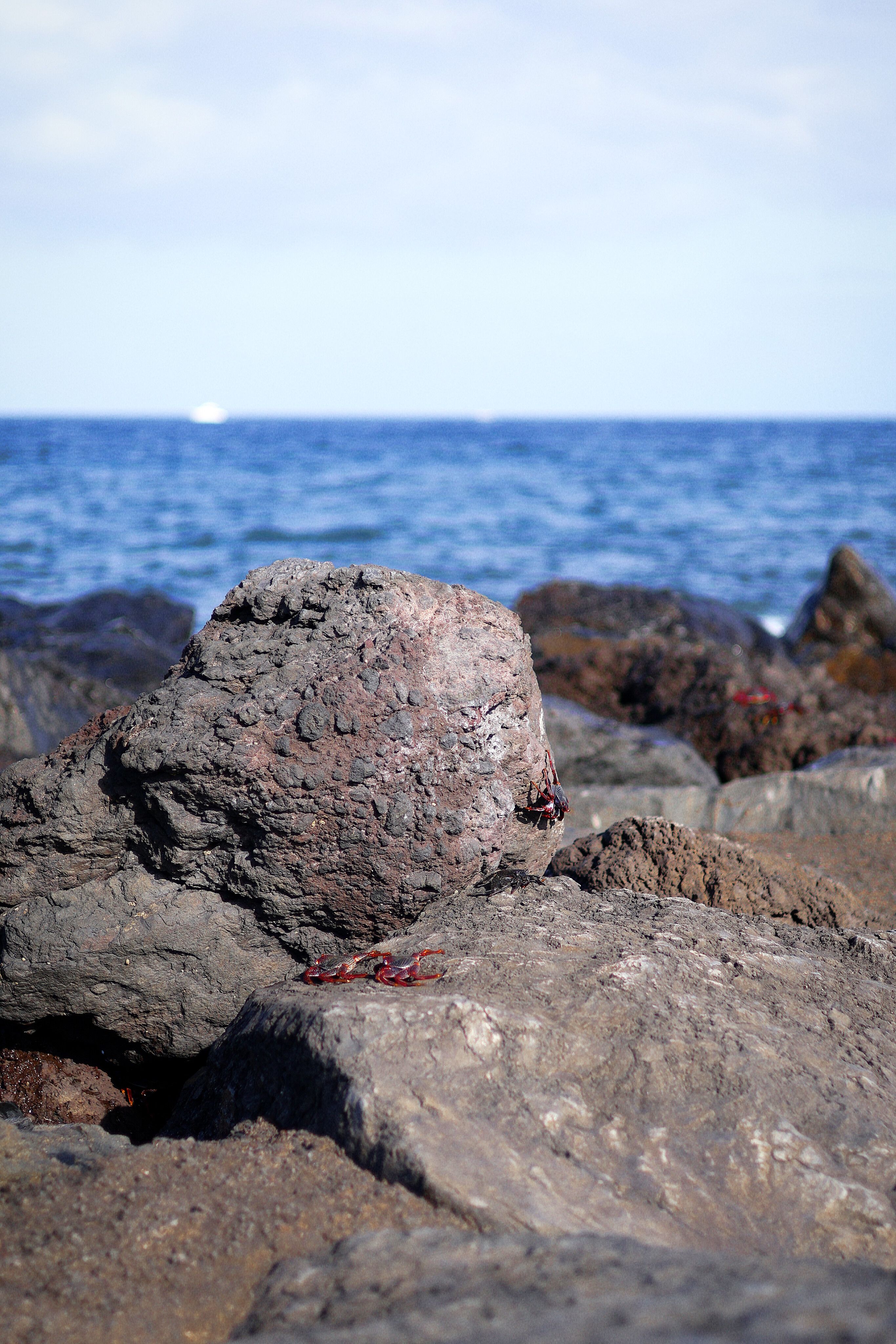 Rocky Shoreline with Ocean View · Free Stock Photo