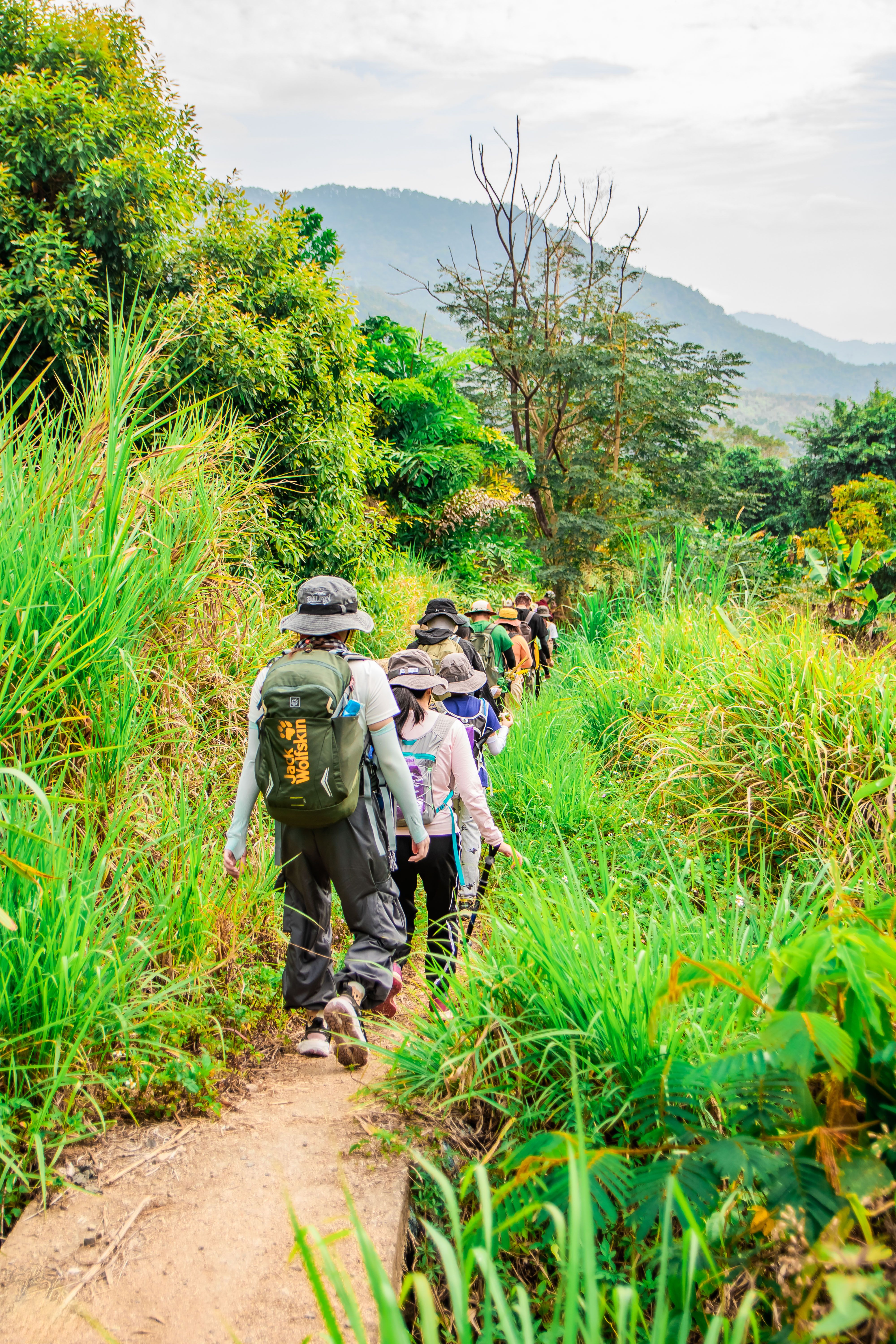 Group of Hikers in Lush Greenery of Lâm Đồng · Free Stock Photo