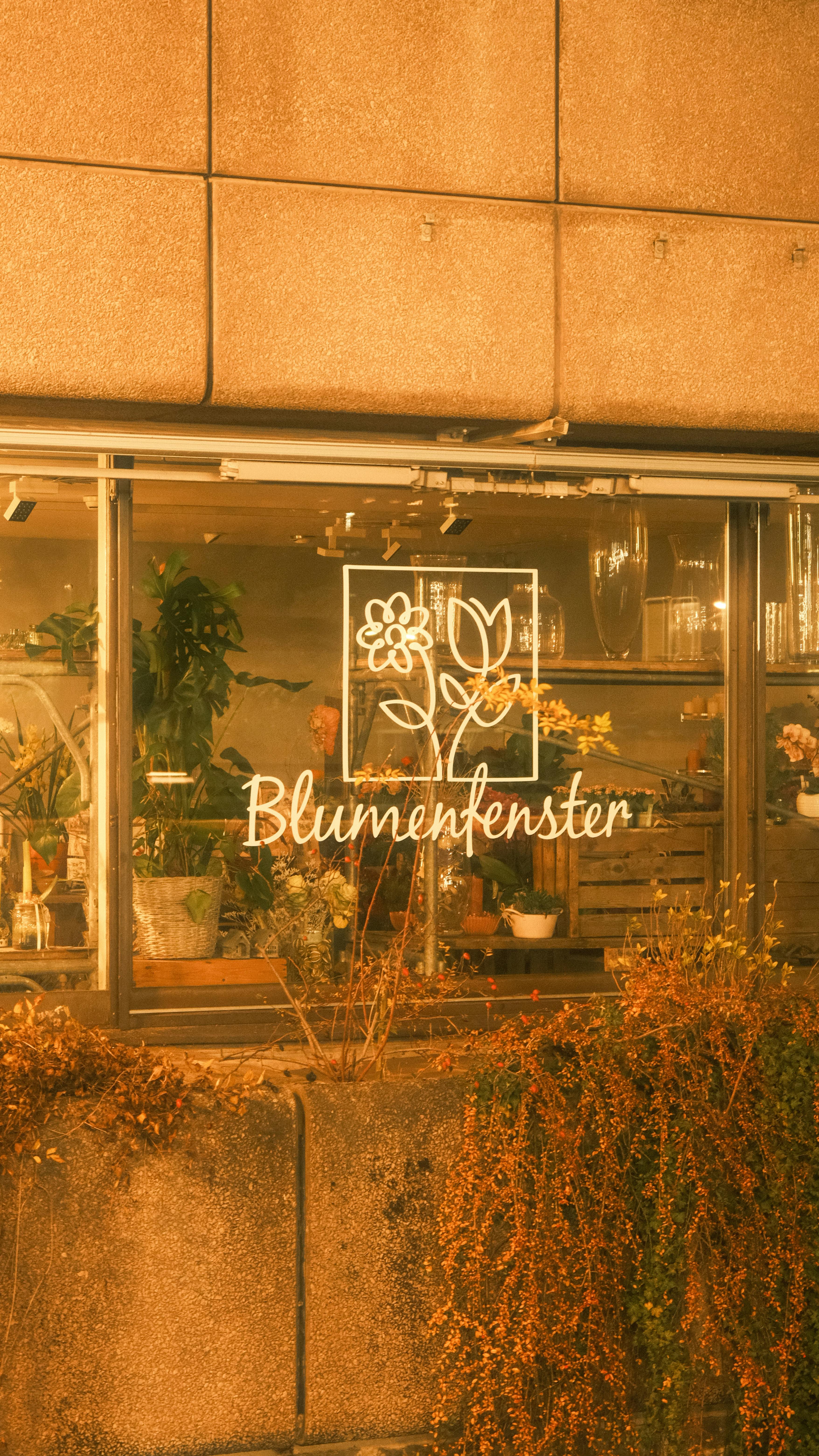 Cozy Flower Shop Window Display at Night · Free Stock Photo