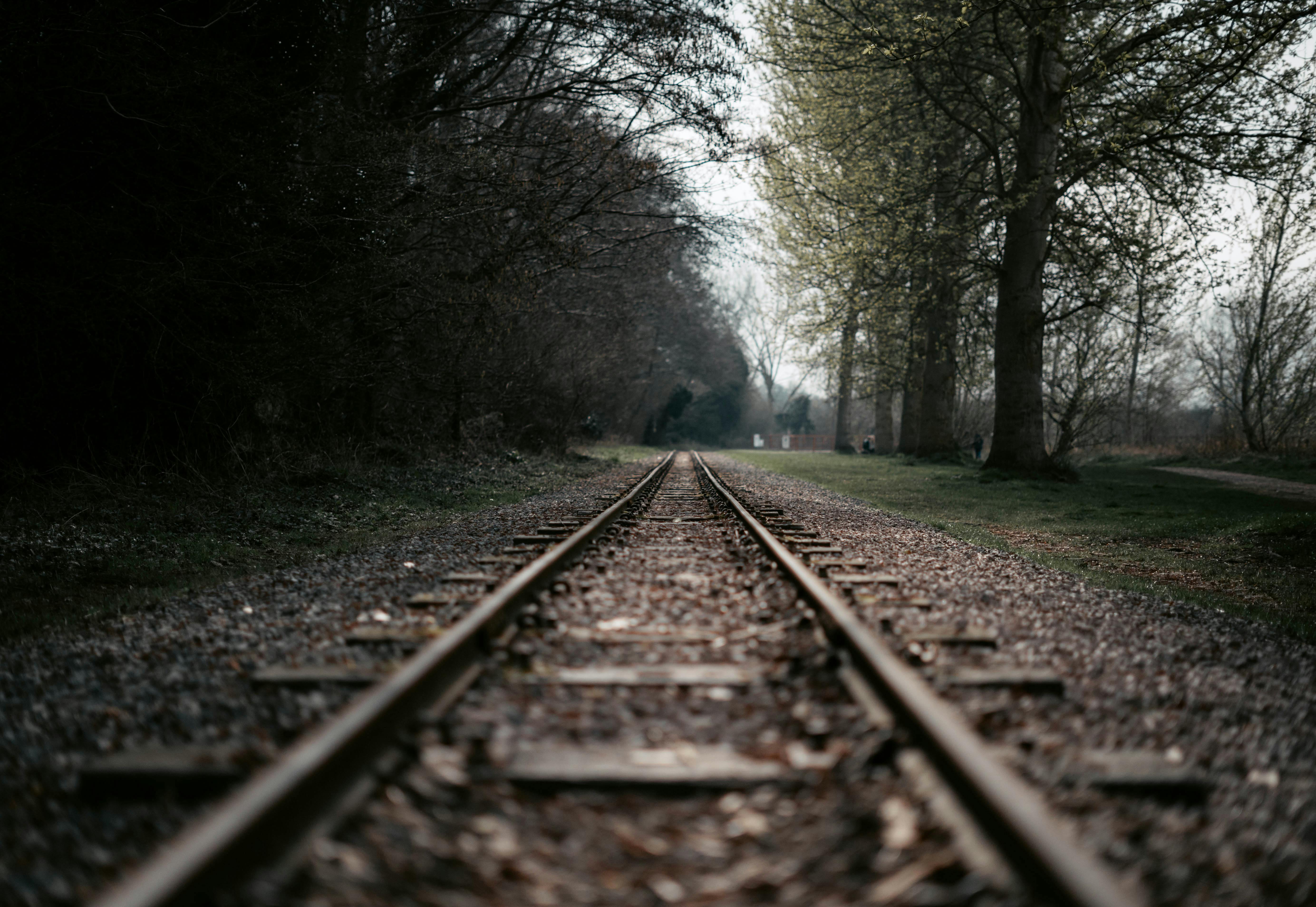 Serene Railway Tracks in a Forested Path · Free Stock Photo