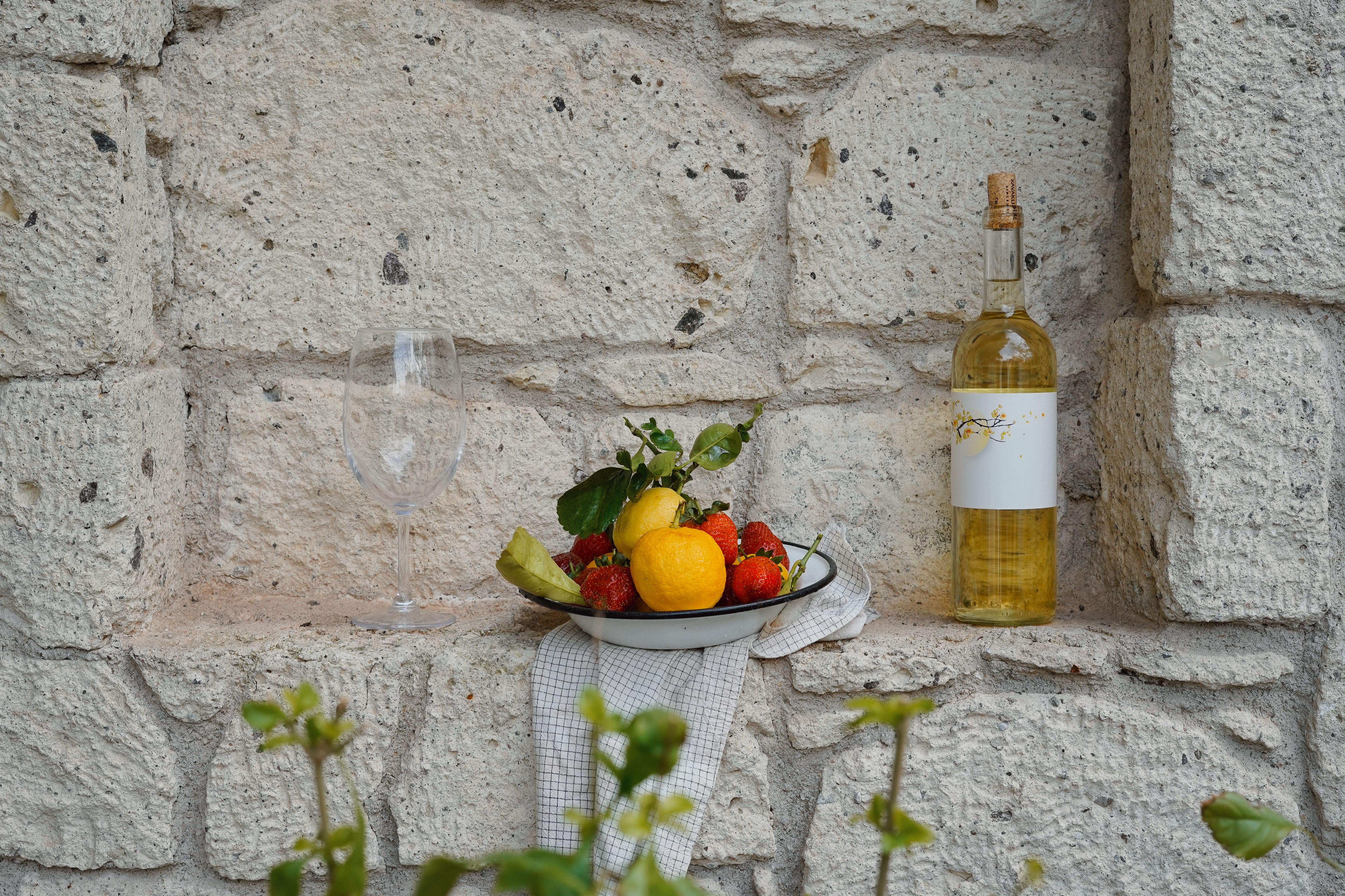 Vine Imagery With Labeled Fruit Photos, Download The BEST Free Vine ...