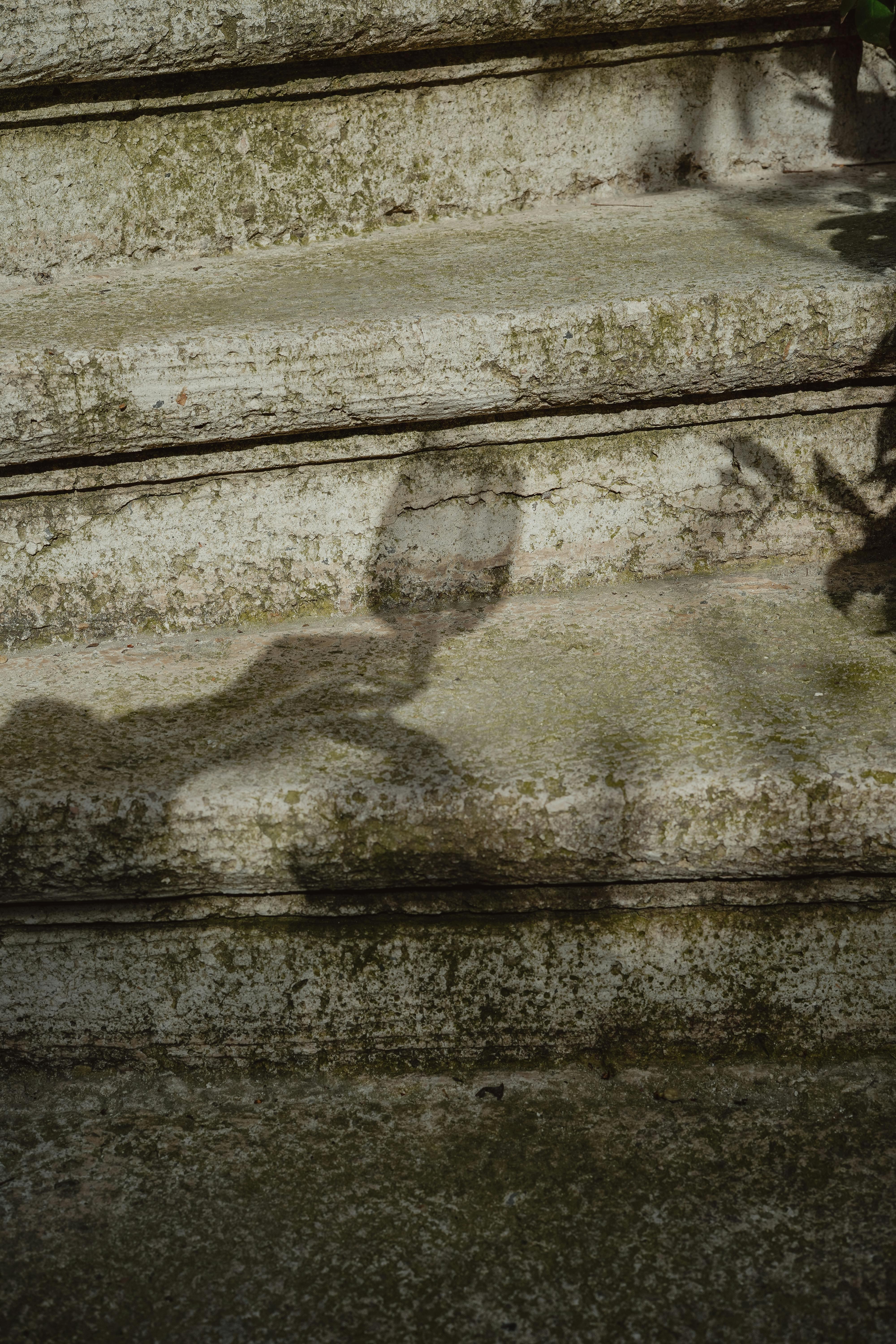 Abstract Shadows on Weathered Stone Steps · Free Stock Photo