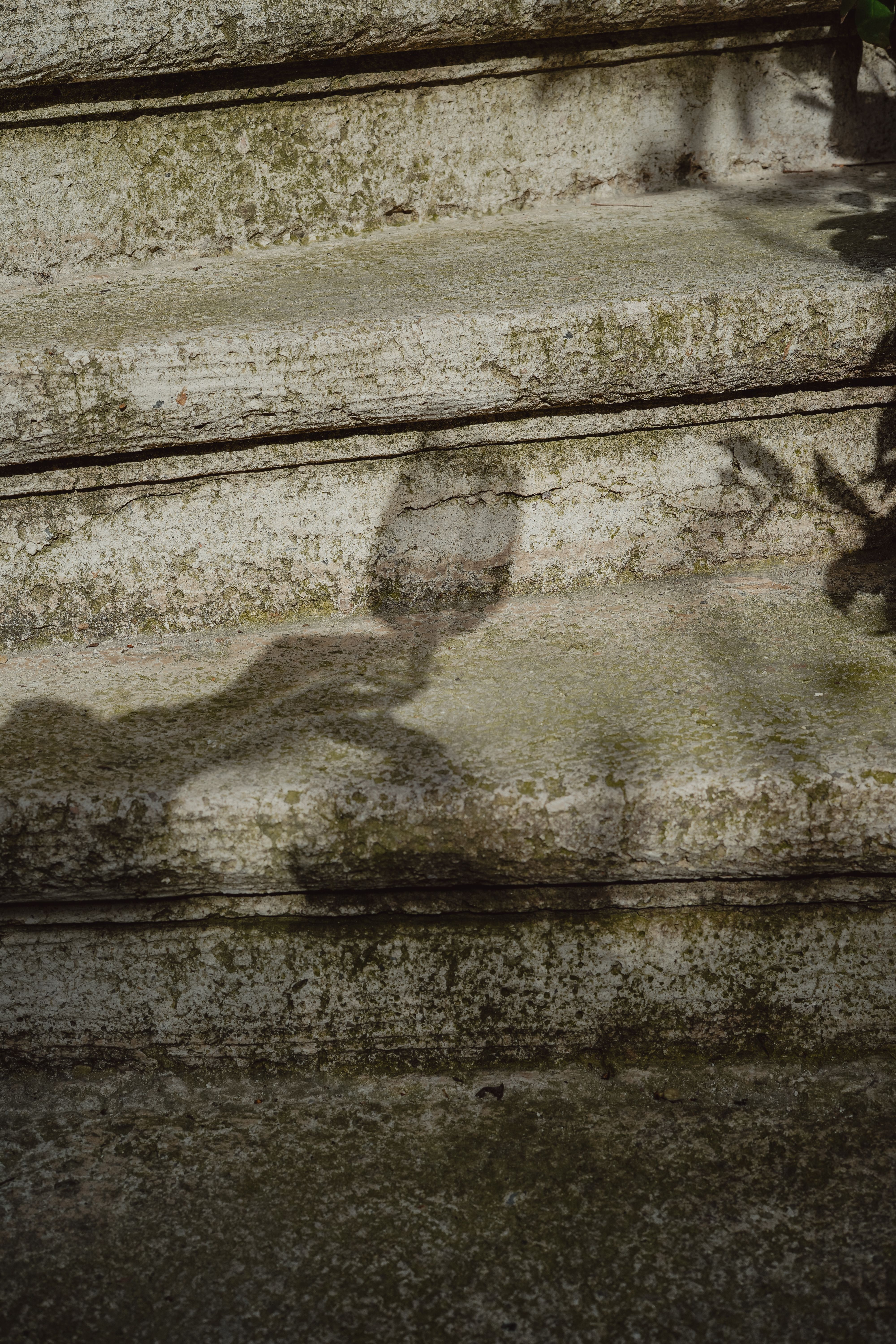 Abstract Shadows on Weathered Stone Steps · Free Stock Photo