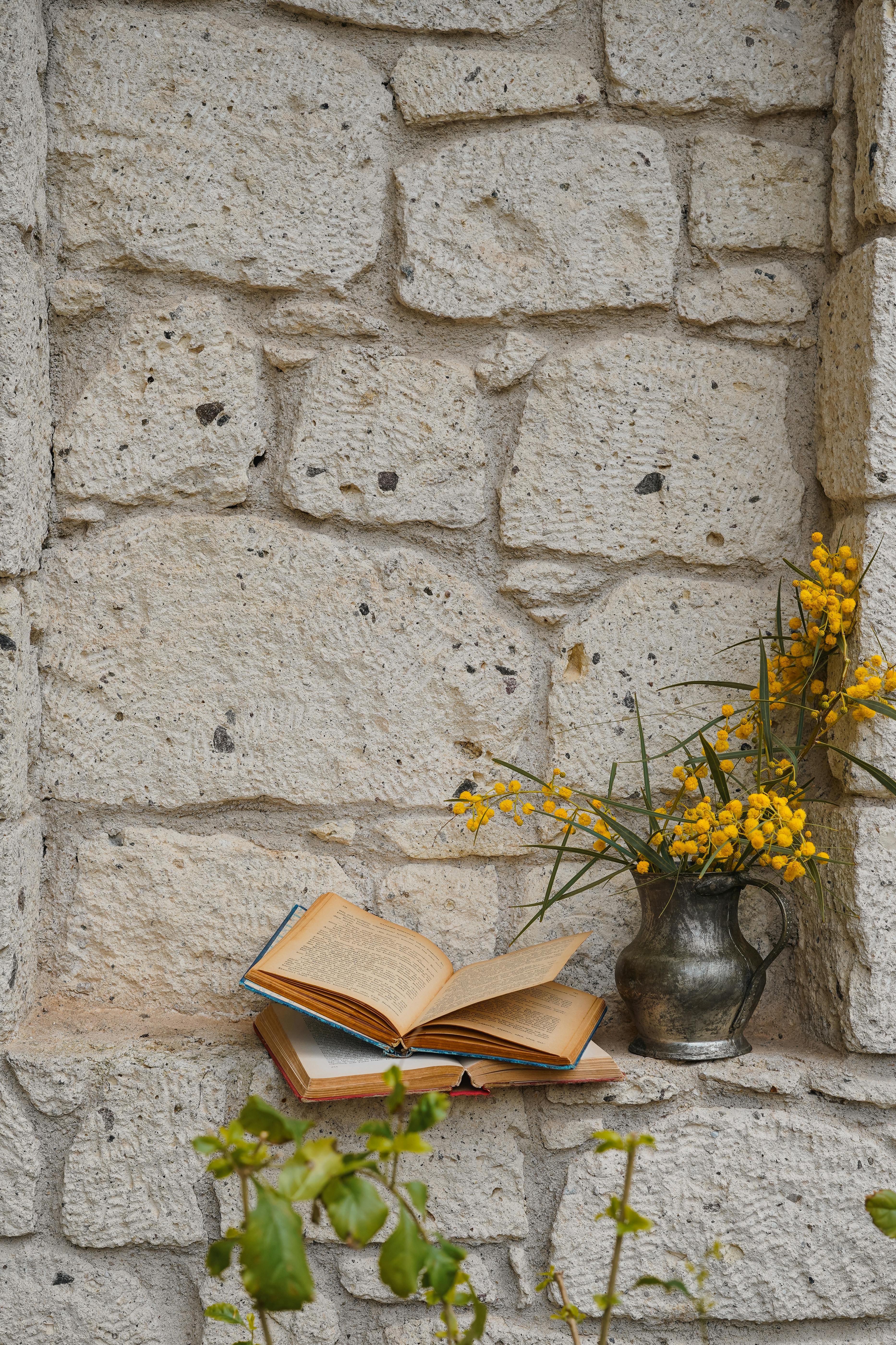 Powerpoint Background Photos, Download The BEST Free Powerpoint ...