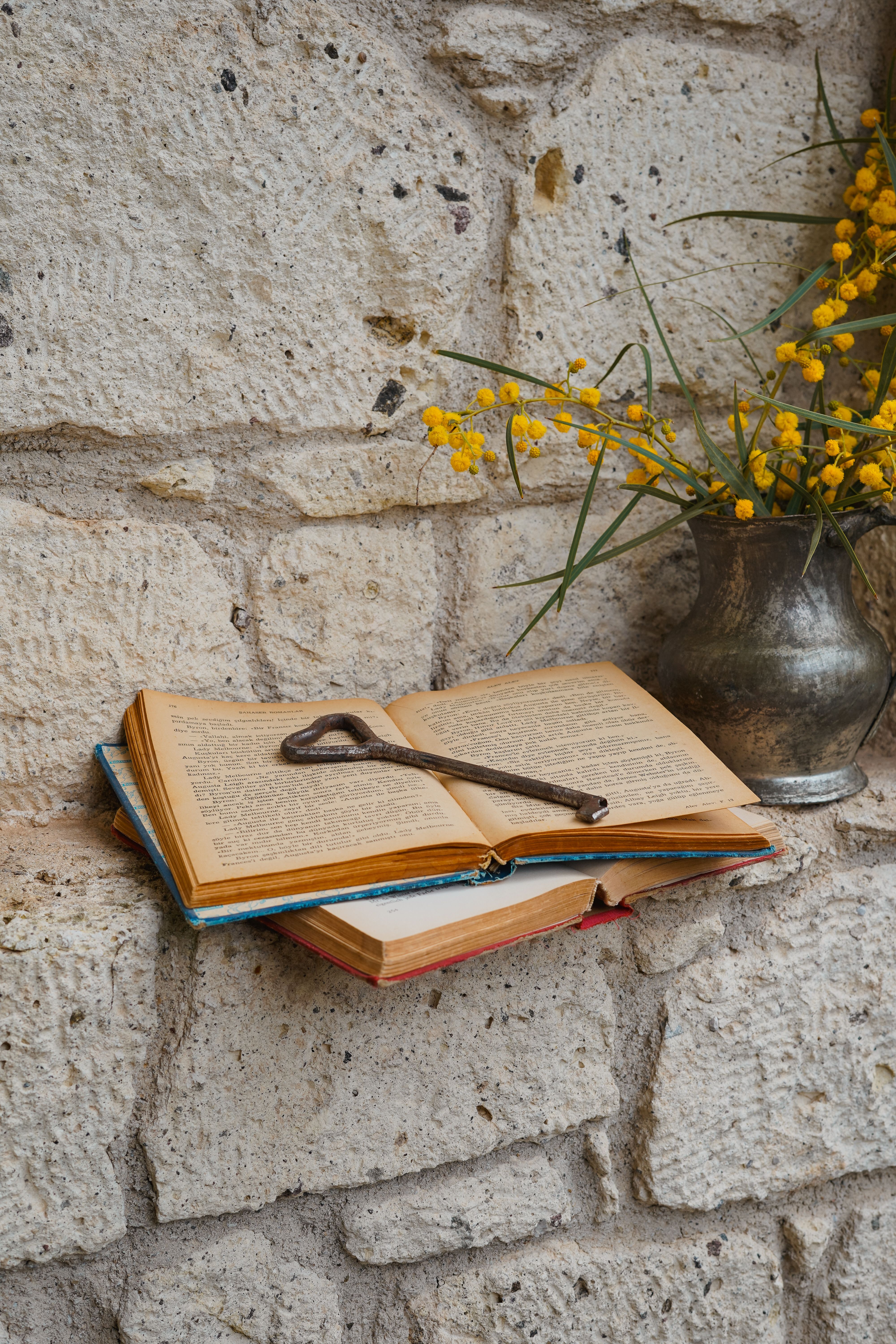 2 Books on Top of Each Other Beside Red Apple Fruit · Free Stock Photo
