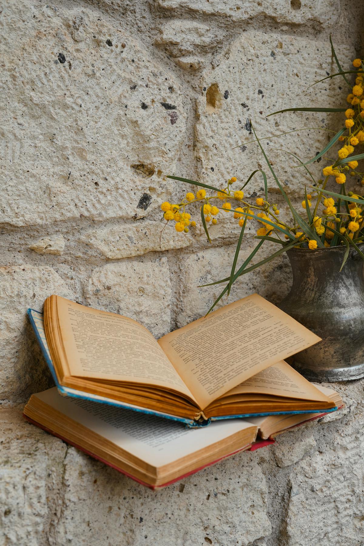 Book Aesthetic Photos, Download The BEST Free Book Aesthetic Stock ...