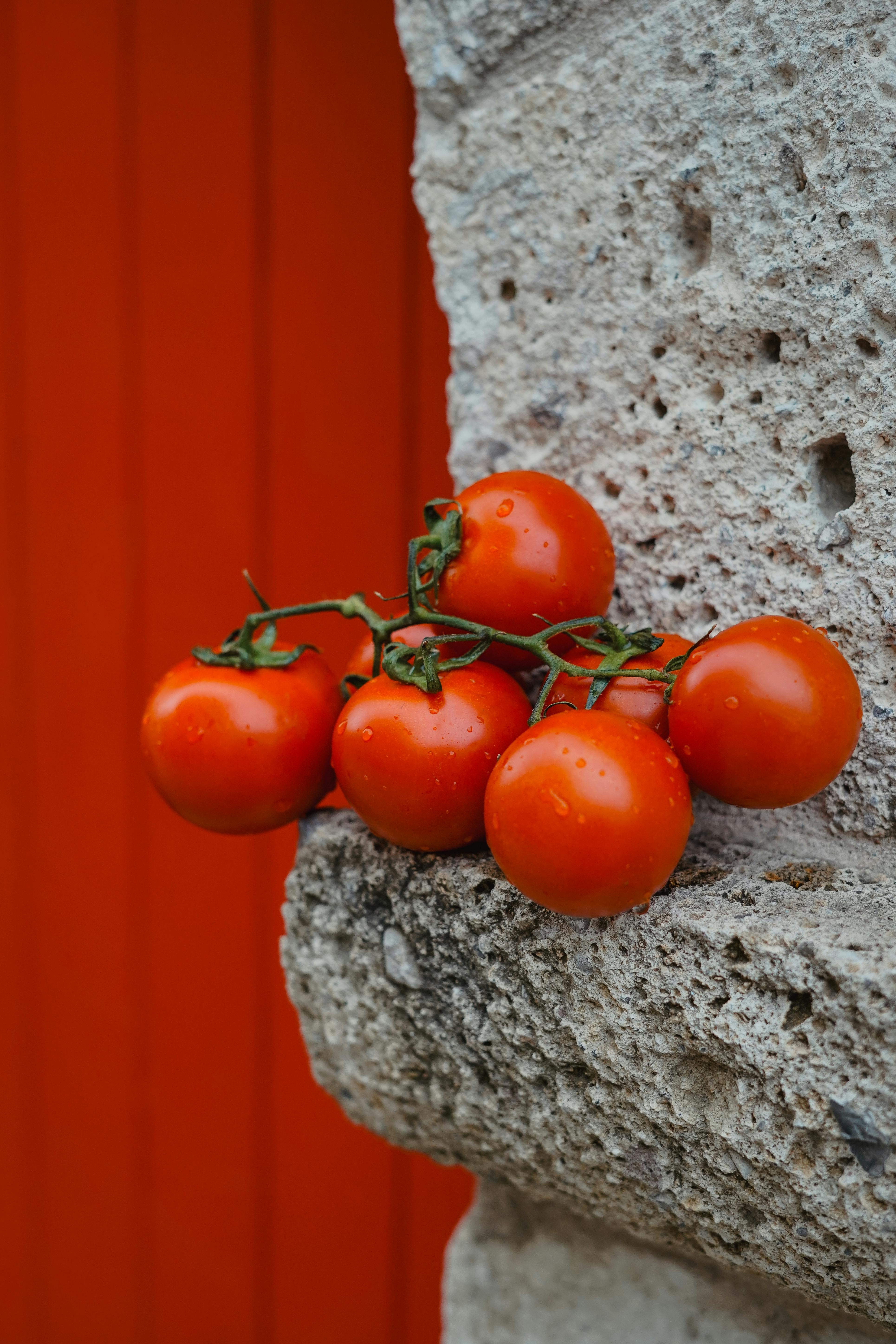 Cluster of Red Tomatoes on Rustic Stone · Free Stock Photo