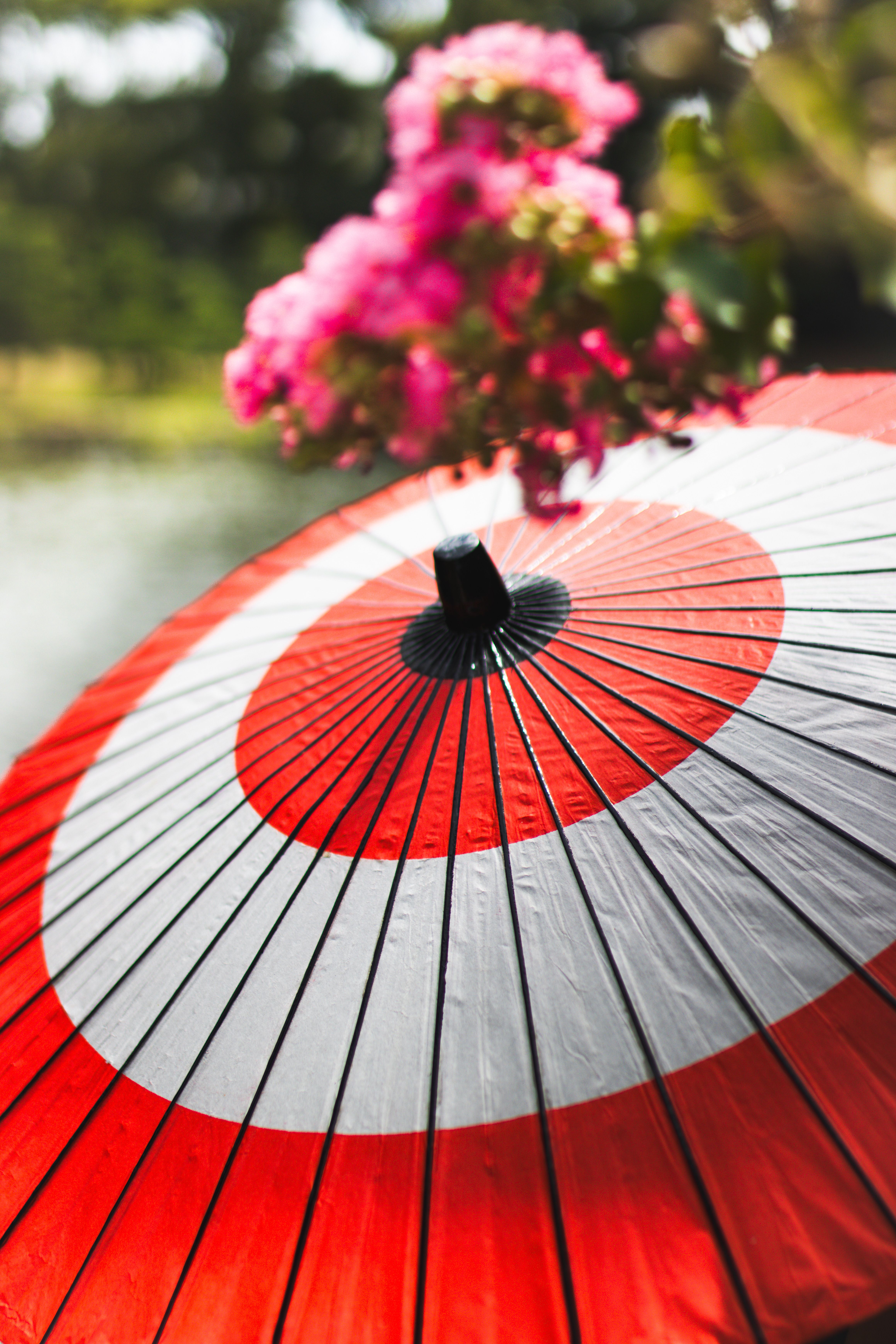 Vibrant Red Japanese Paper Umbrella with Flowers · Free Stock Photo