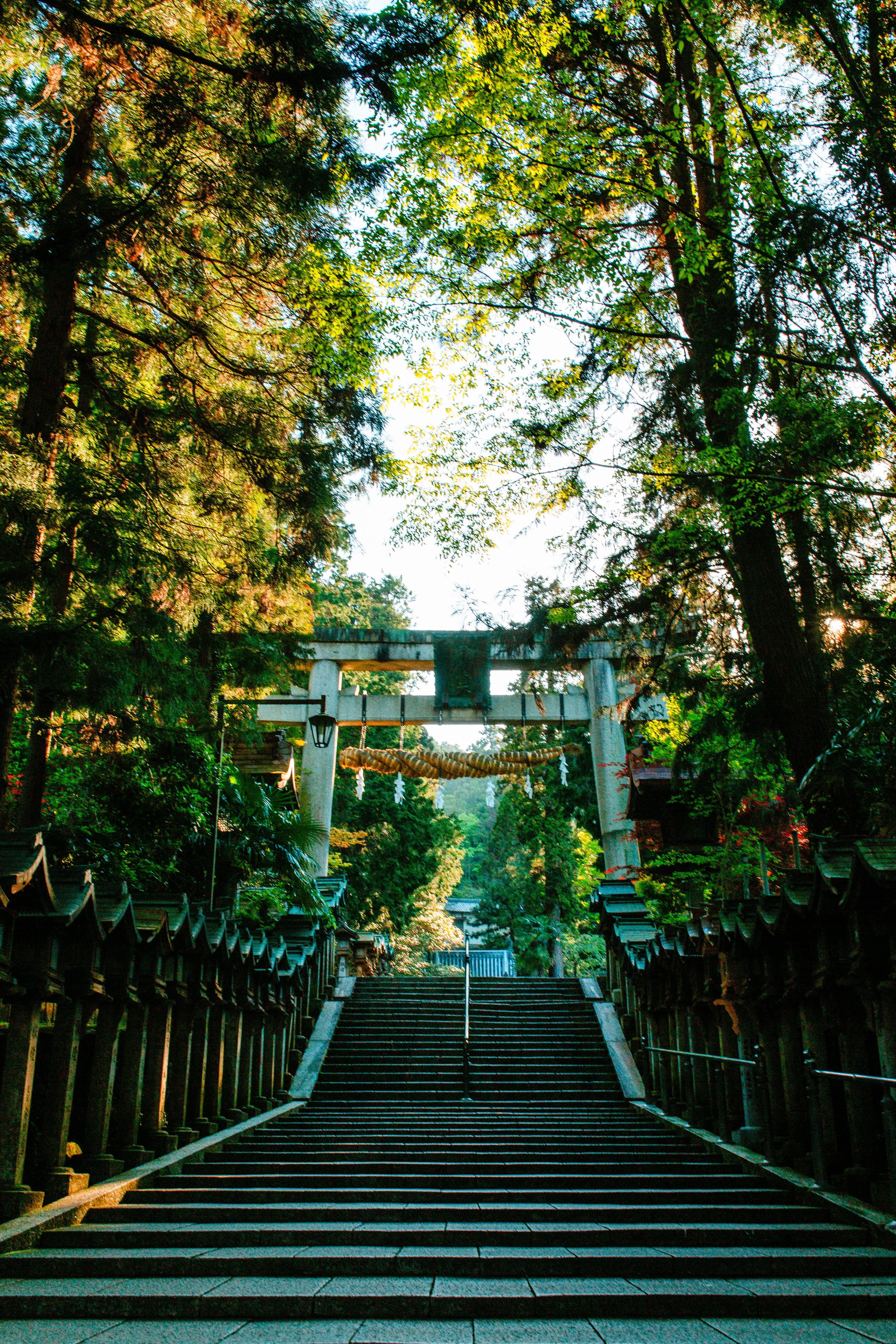 Serene Path Leading to Japanese Shrine · Free Stock Photo
