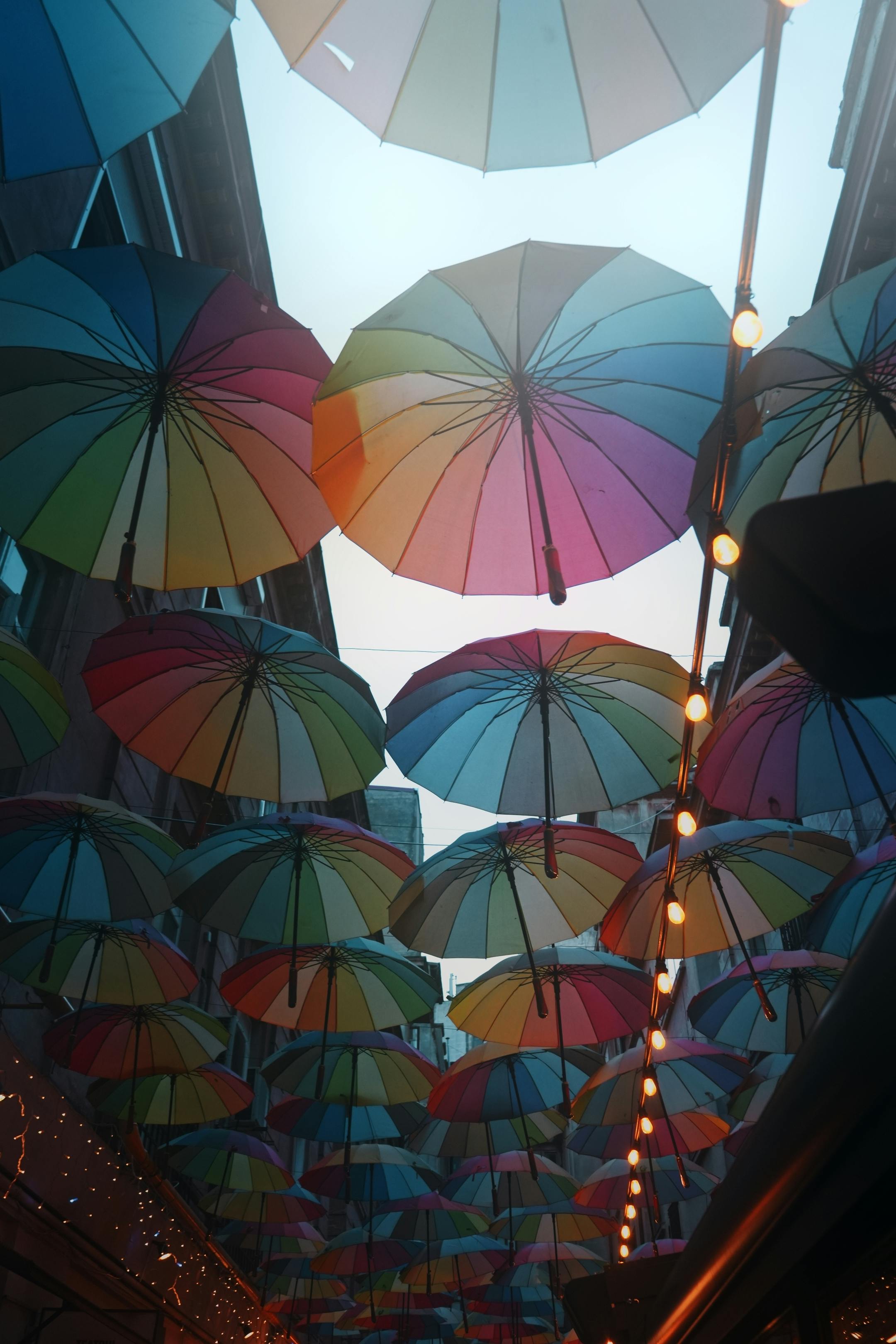 Vibrant Umbrellas Hanging in Colorful Street Scene · Free Stock Photo