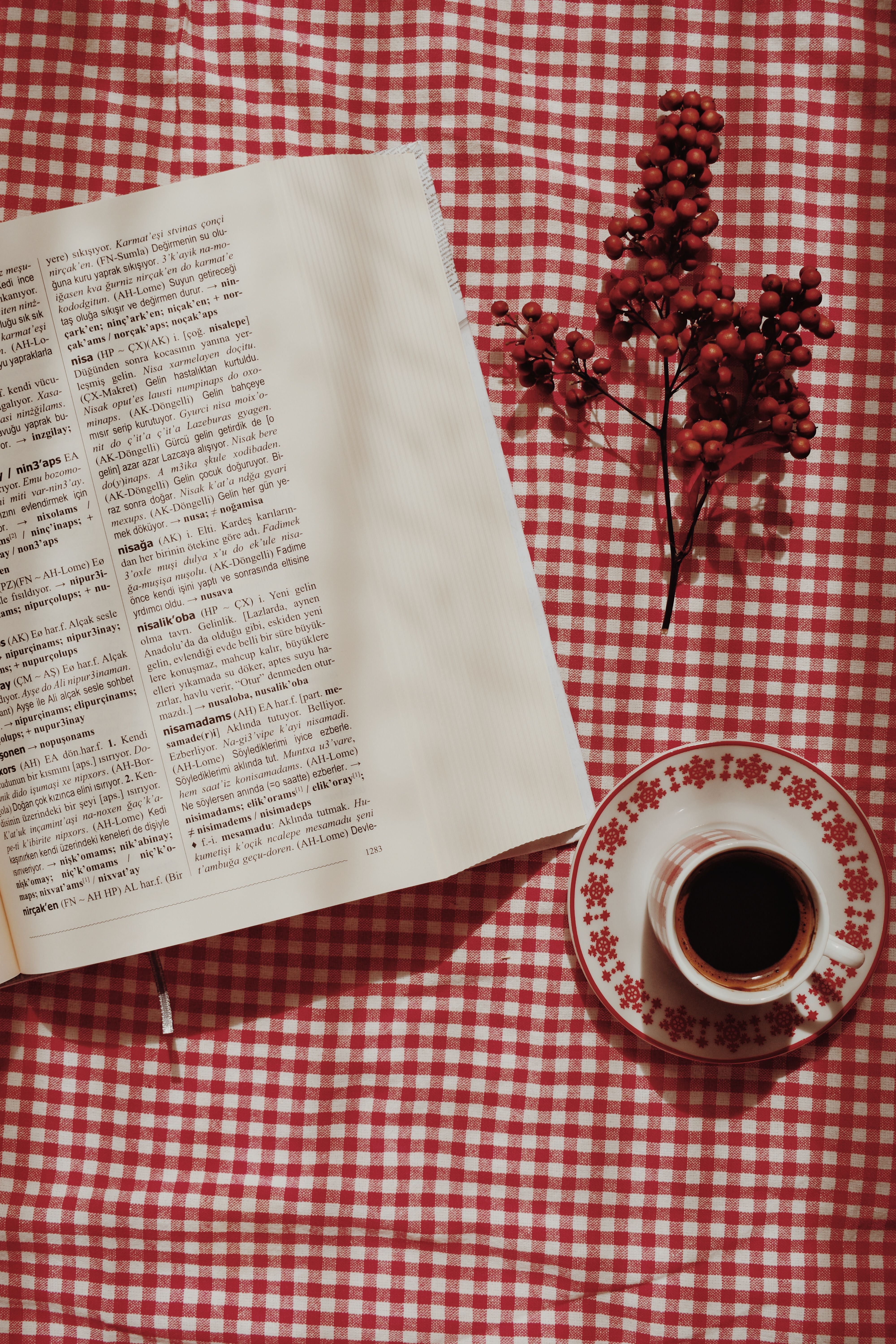 Cozy Reading Scene with Book and Coffee · Free Stock Photo