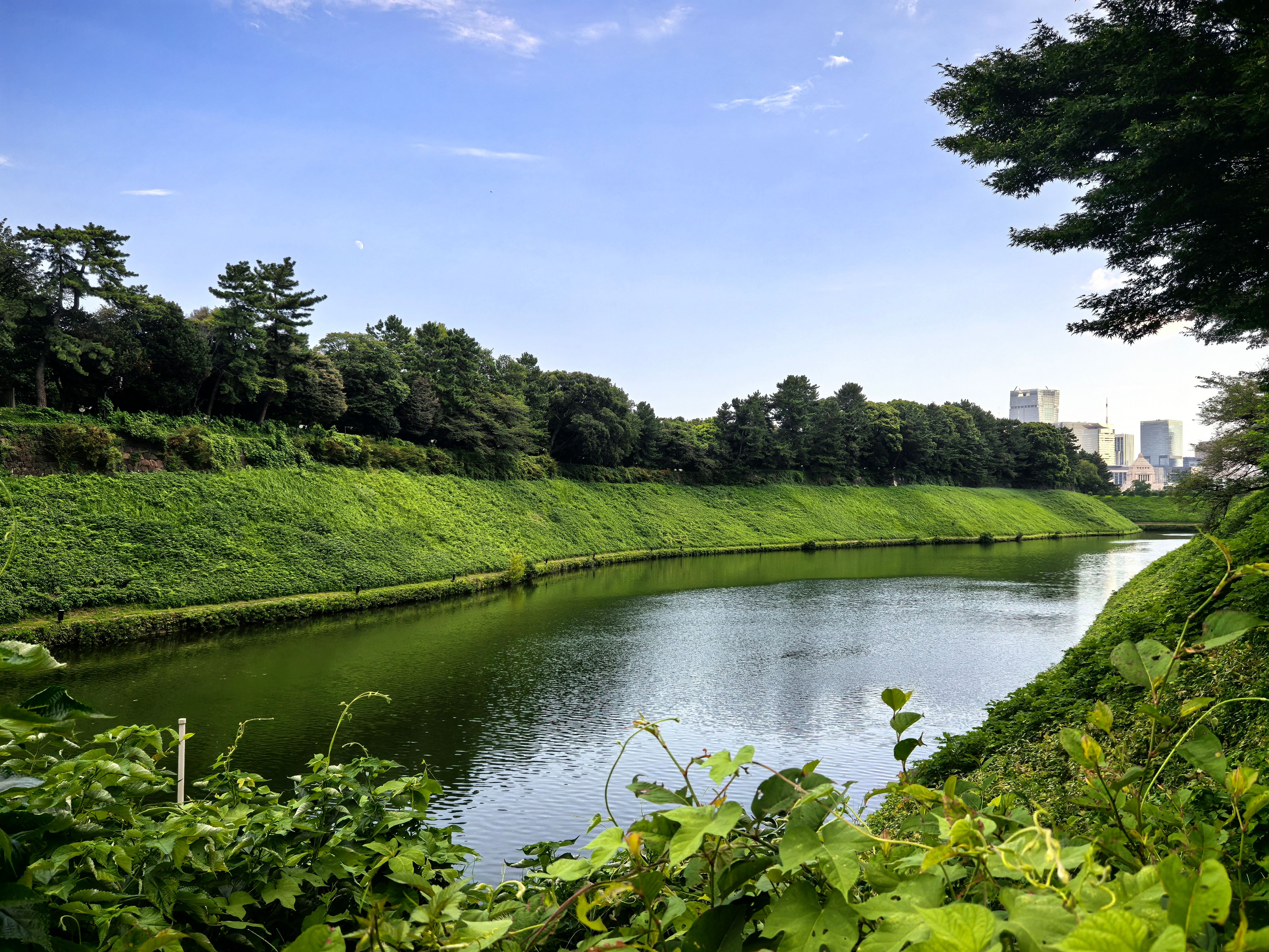 Serene Riverbend with Lush Greenery and City Skyline · Free Stock Photo