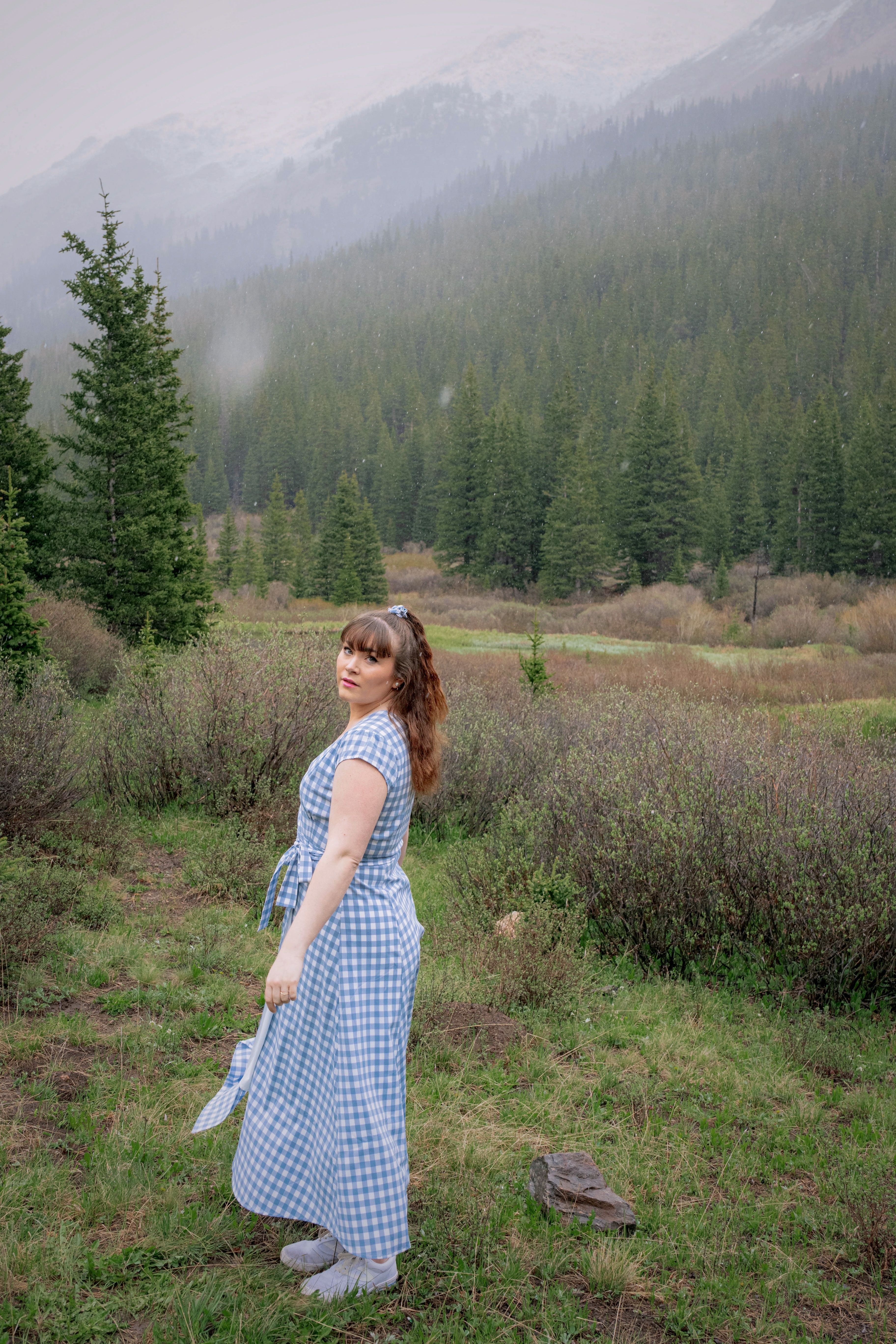 Charming Woman in Gingham Dress Amidst Colorado Mountains · Free Stock ...